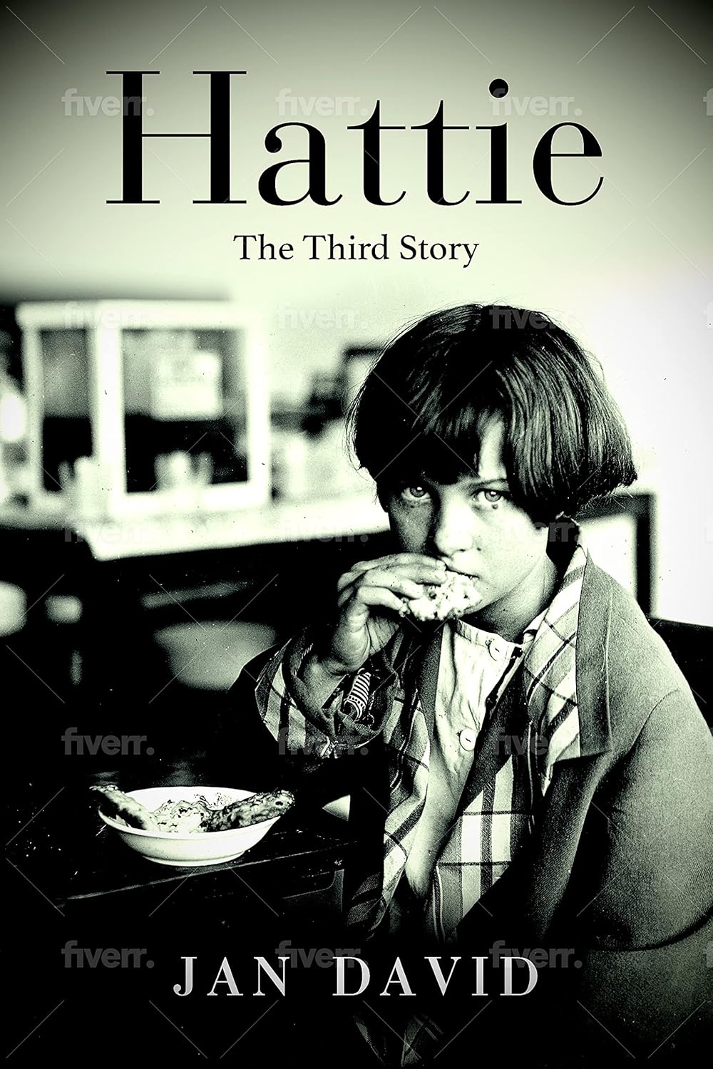 Amazon.com: HATTIE: The Third Story eBook : DAVID, JAN: Kindle Store