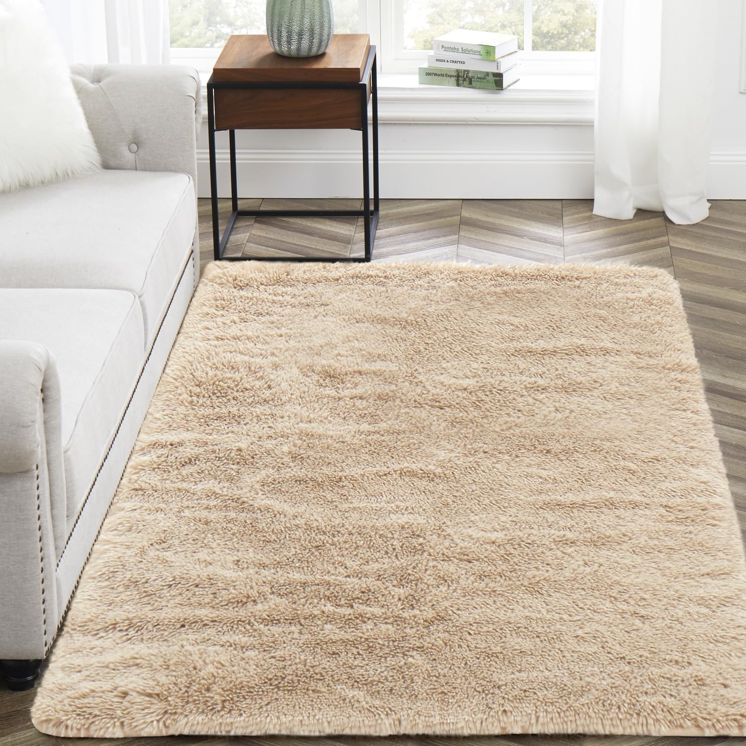 Amazon.com: MOONLIGHT20015 Shaggy Beige Rug, 2x3 Area Rugs for Living ...