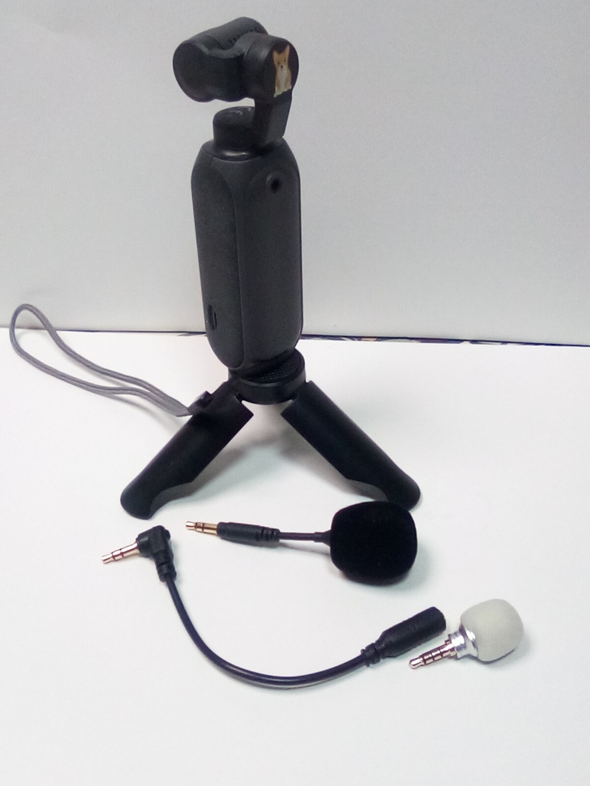 Amazon.co.jp: AGPTek Z02 Clip Microphone Condenser Microphone Mic Pin ...