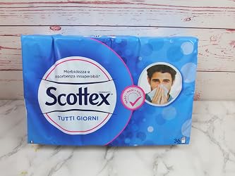 Scottex Fazzoletti Tutti i Giorni, 1 Confezione da 24 Pacchetti ...
