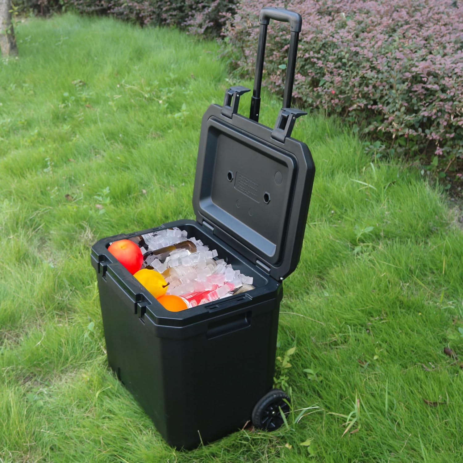 Amazon.com : SYHVU 36 Quart Hard Chest Cooler for Outdoor Camping ...