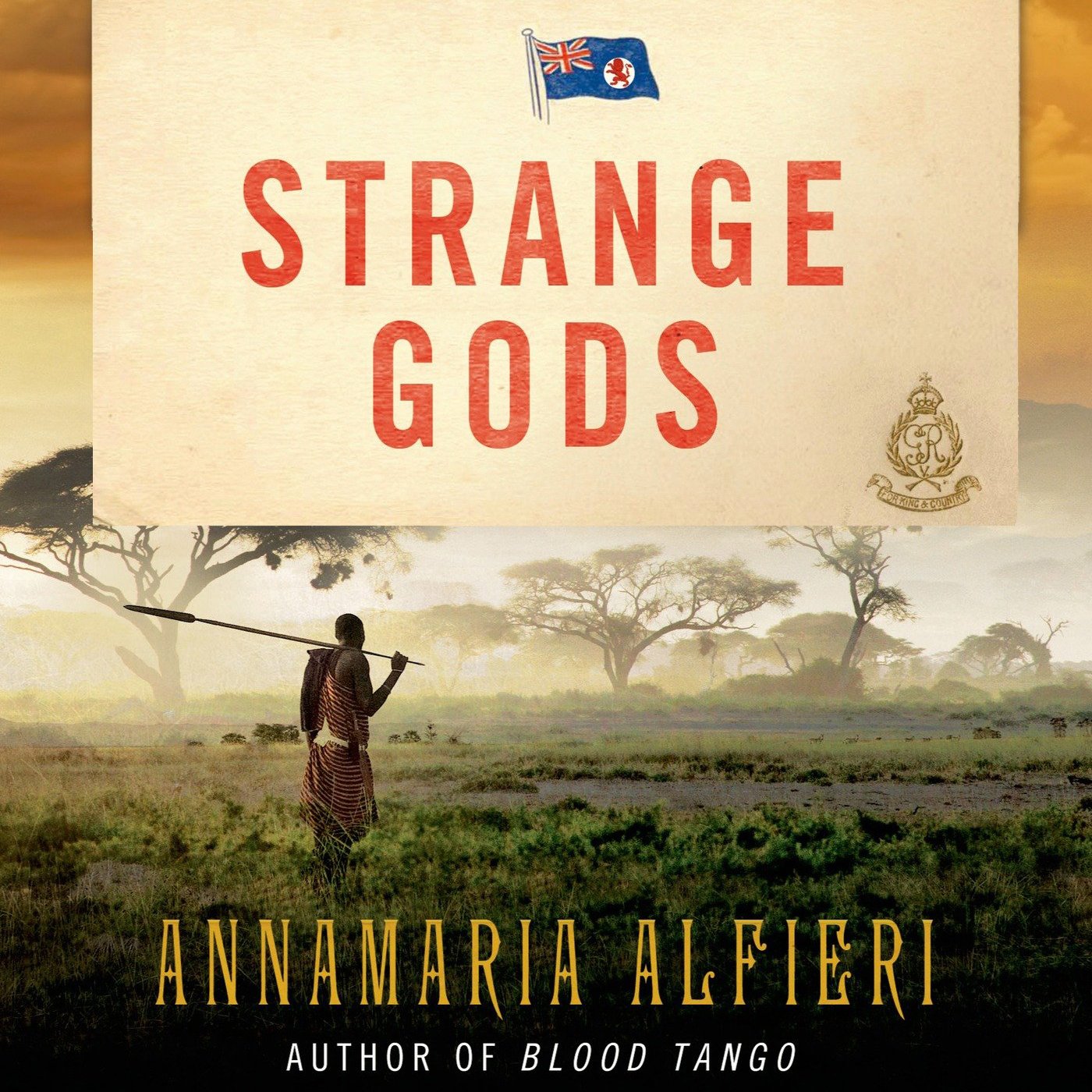 Amazon.com: Strange Gods: A Mystery (Audible Audio Edition): Annamaria ...