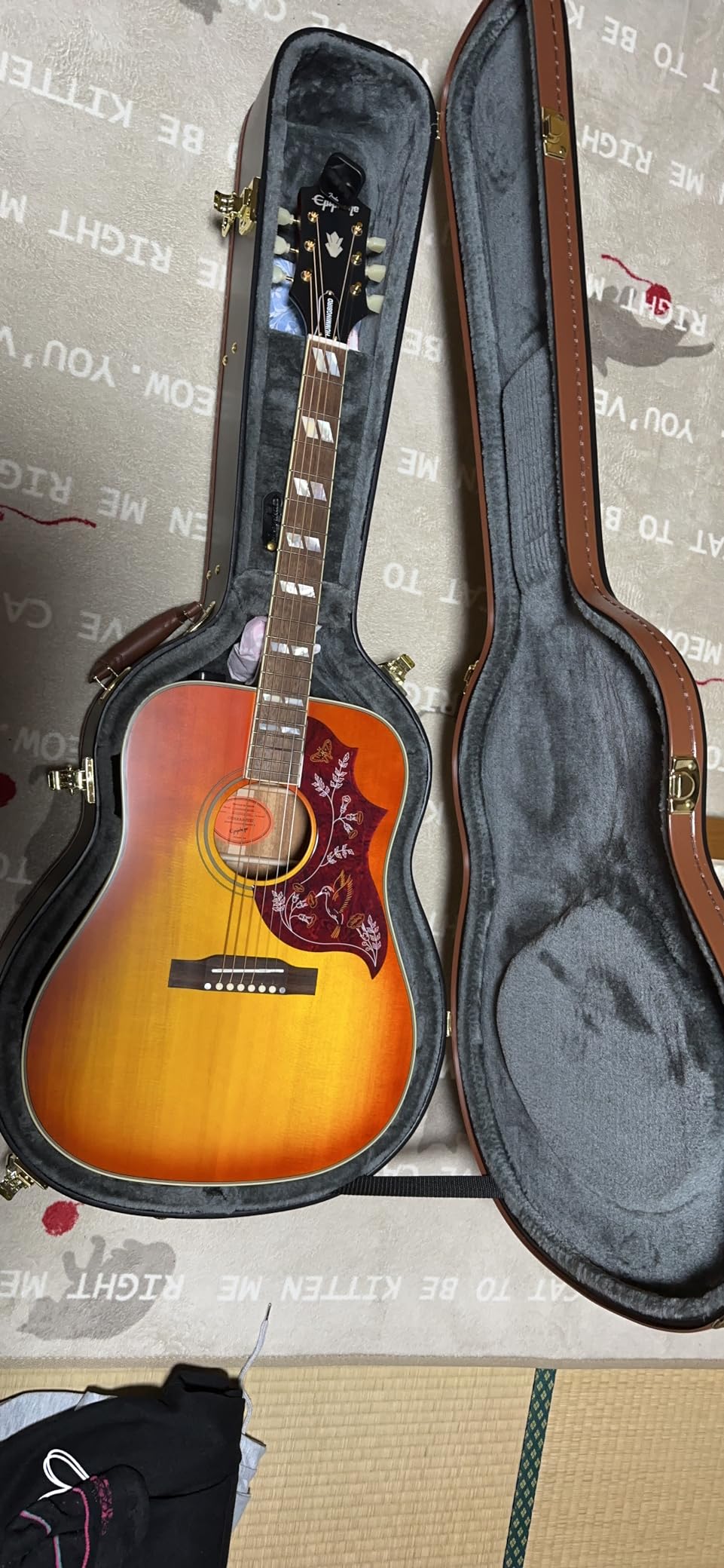 Amazon.co.jp: Epiphone/Acoustic AJ Dreadnought Hard Case (940-EDREAD ...