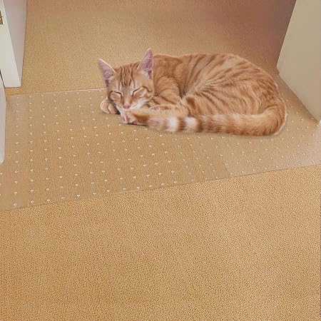 Amazon.com : QWR 8.2Ft Clear Plastic Carpet Protector for Pets, Doorway ...