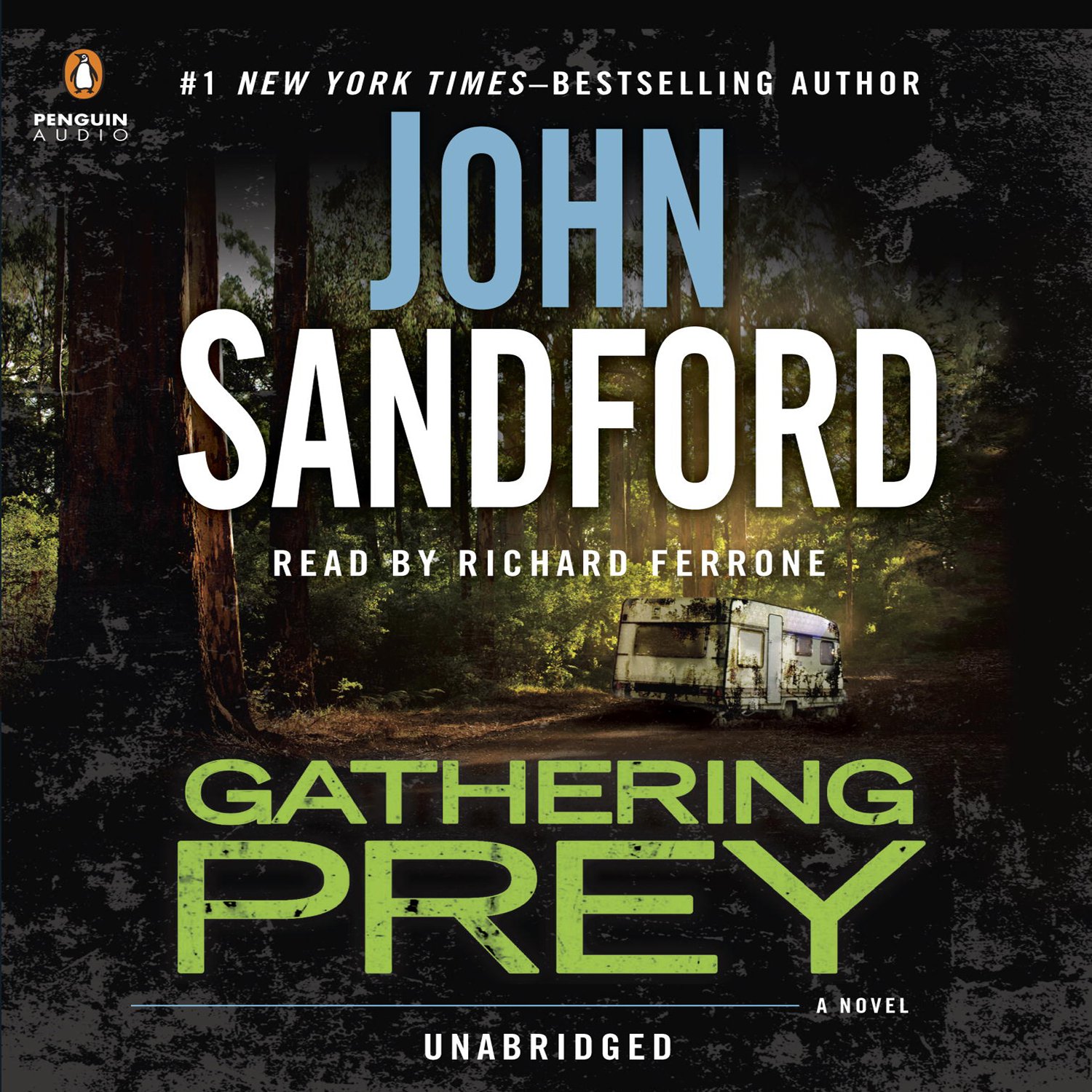Amazon.com: Gathering Prey: Prey, Book 25 (Audible Audio Edition): John ...