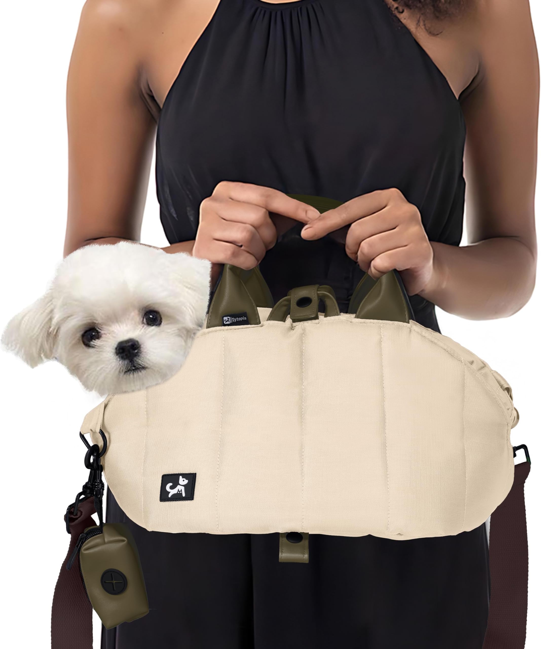 Amazon.com : BurgeonNest Dog Purse Carrier for Small Dogs and Cats ...