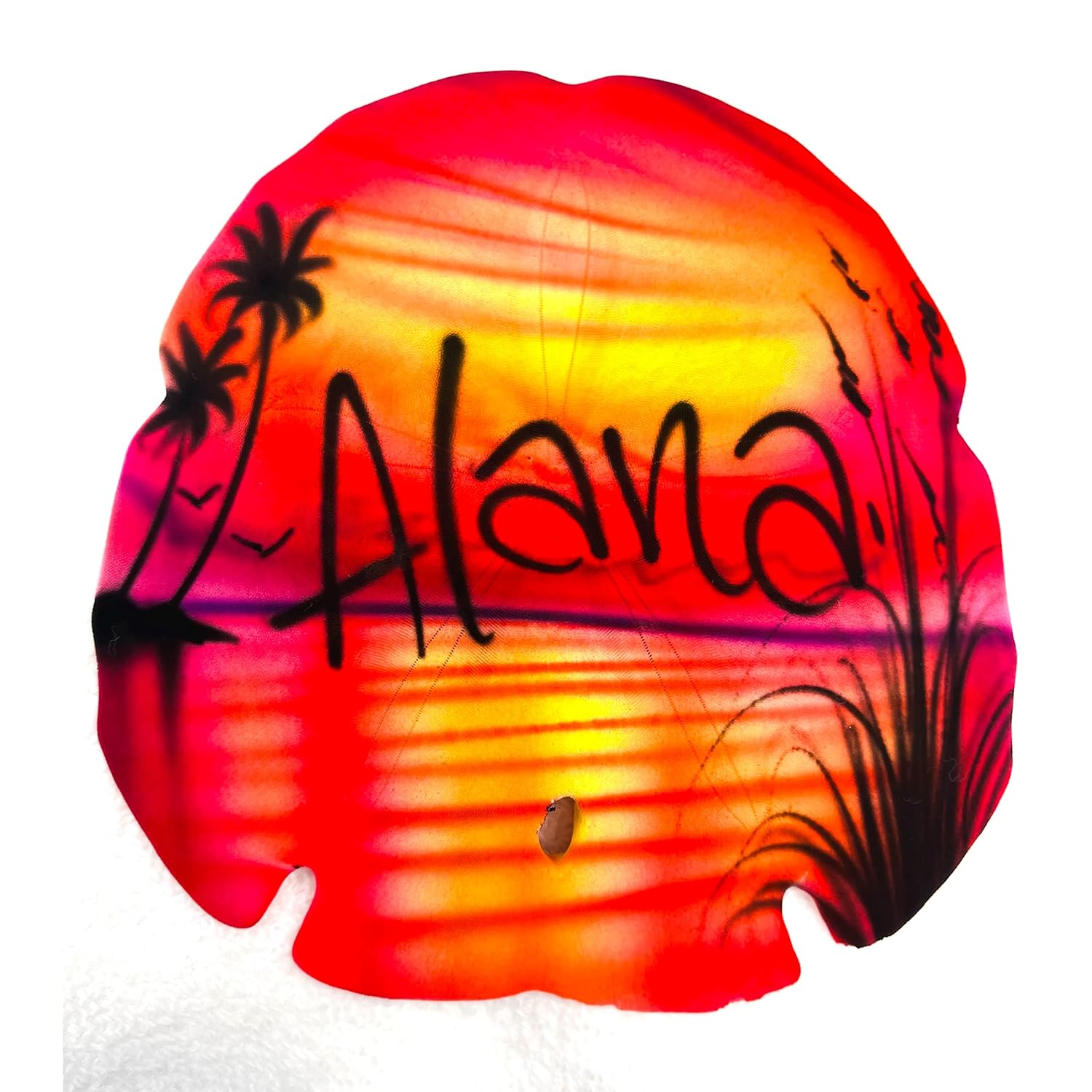 Amazon.com: Arrowhead Sand Dollar Seashell, Bright Beach Scene & Name ...