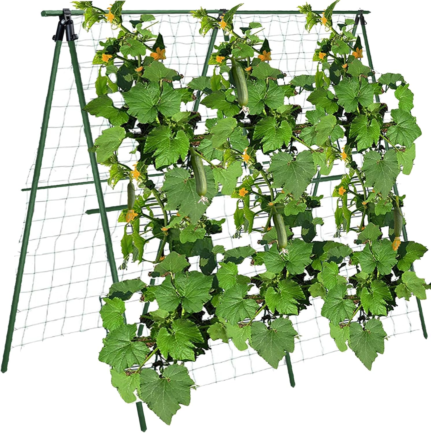 Amazon.com : 57"x57" Foldable Cucumber Trellis, 4.8ft A-Frame Garden ...