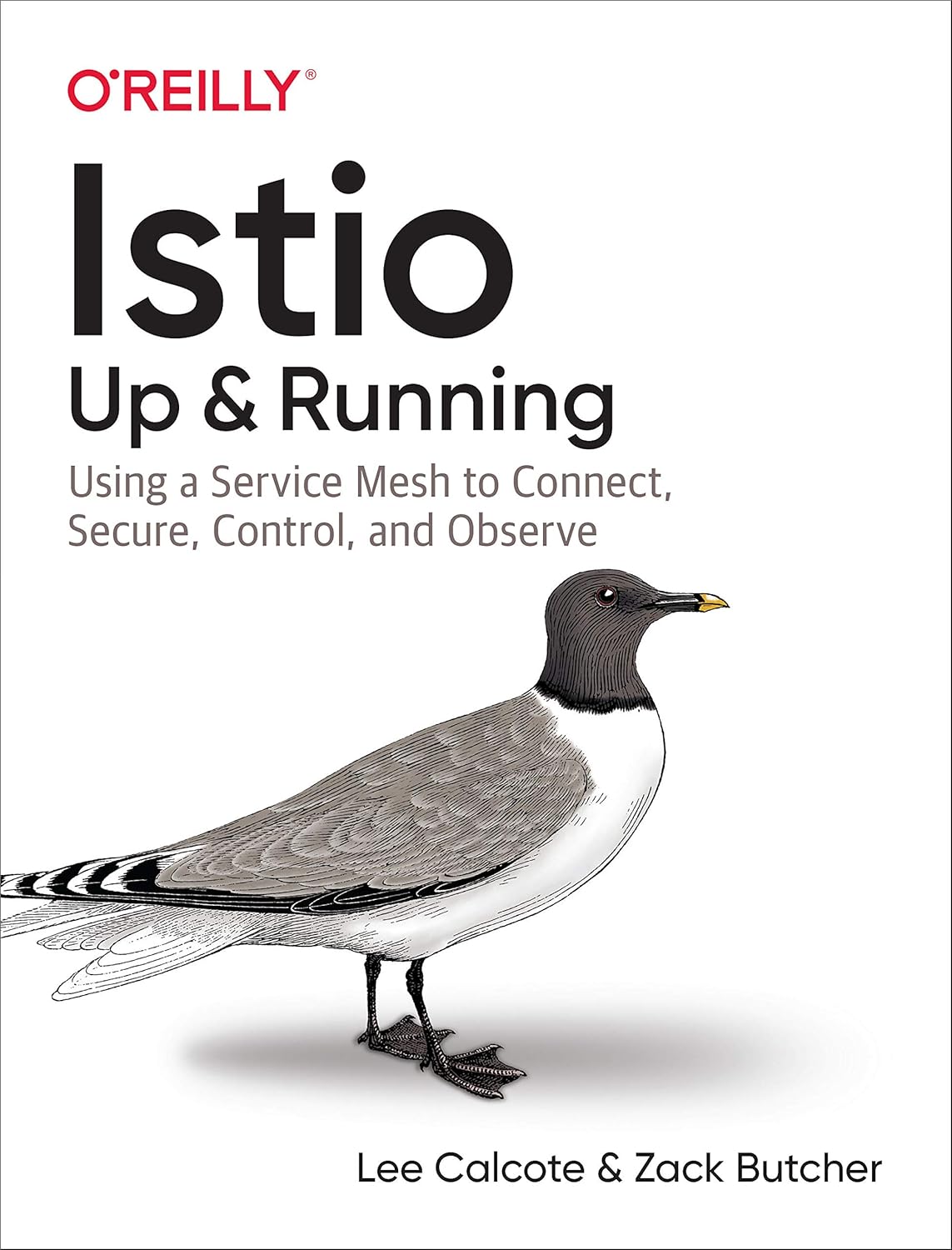 Istio: Up and Running: Using a Service Mesh to Connect, Secure, Control ...