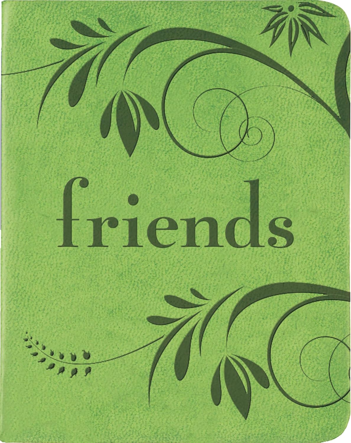 Friends (mini book with Gift Card holder): Barbara Paulding and Rene J ...