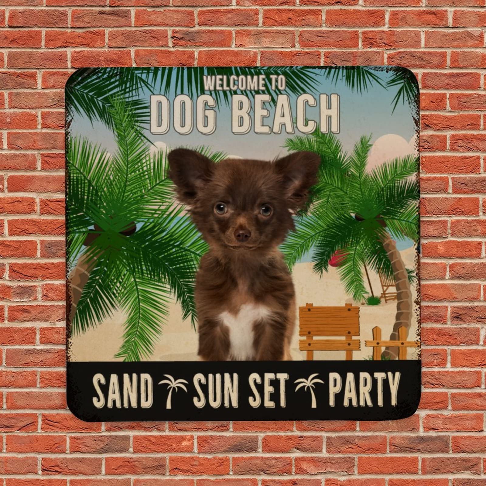 Cute Dog Beach