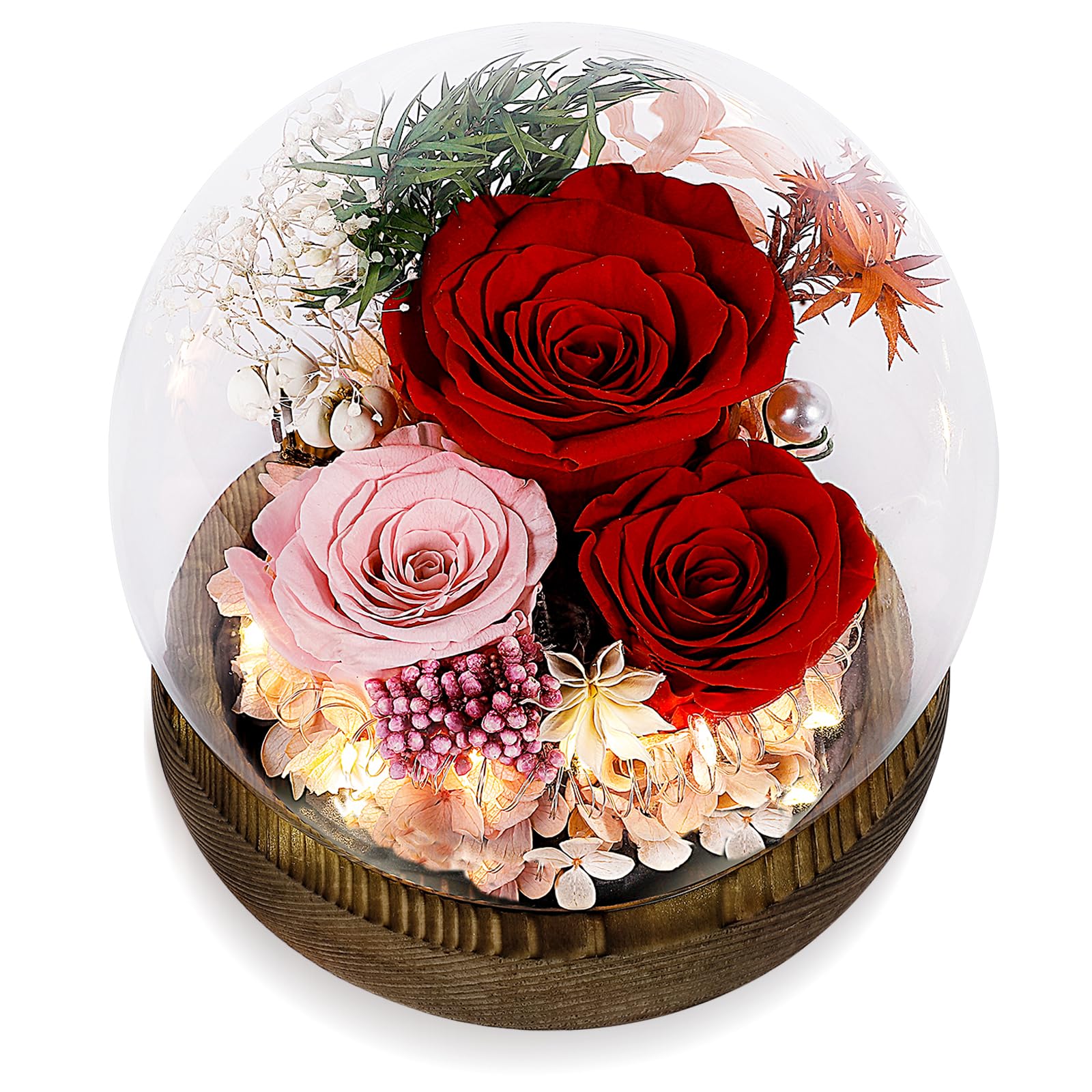 Amazon.com: Luxbrand Preserved Flower Real Red Rose with Fairy Light ...