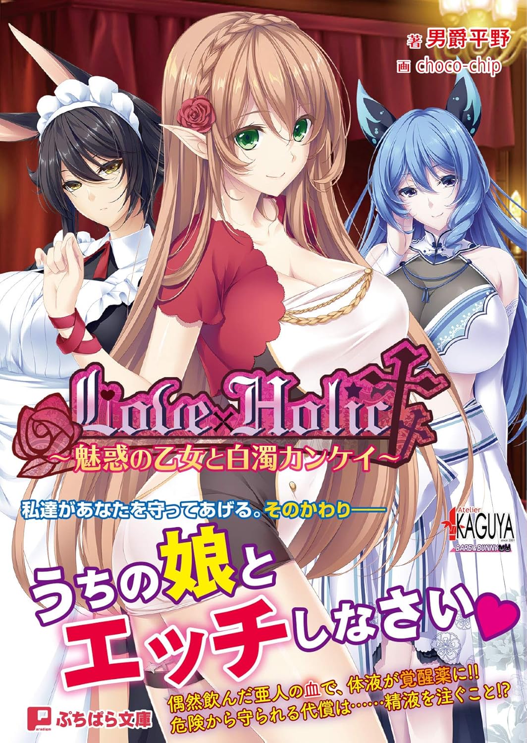 Love×Holic 〜魅惑の乙女と白濁カンケイ〜(ぷちぱら文庫 295): 9784801511651: Books - Amazon.ca