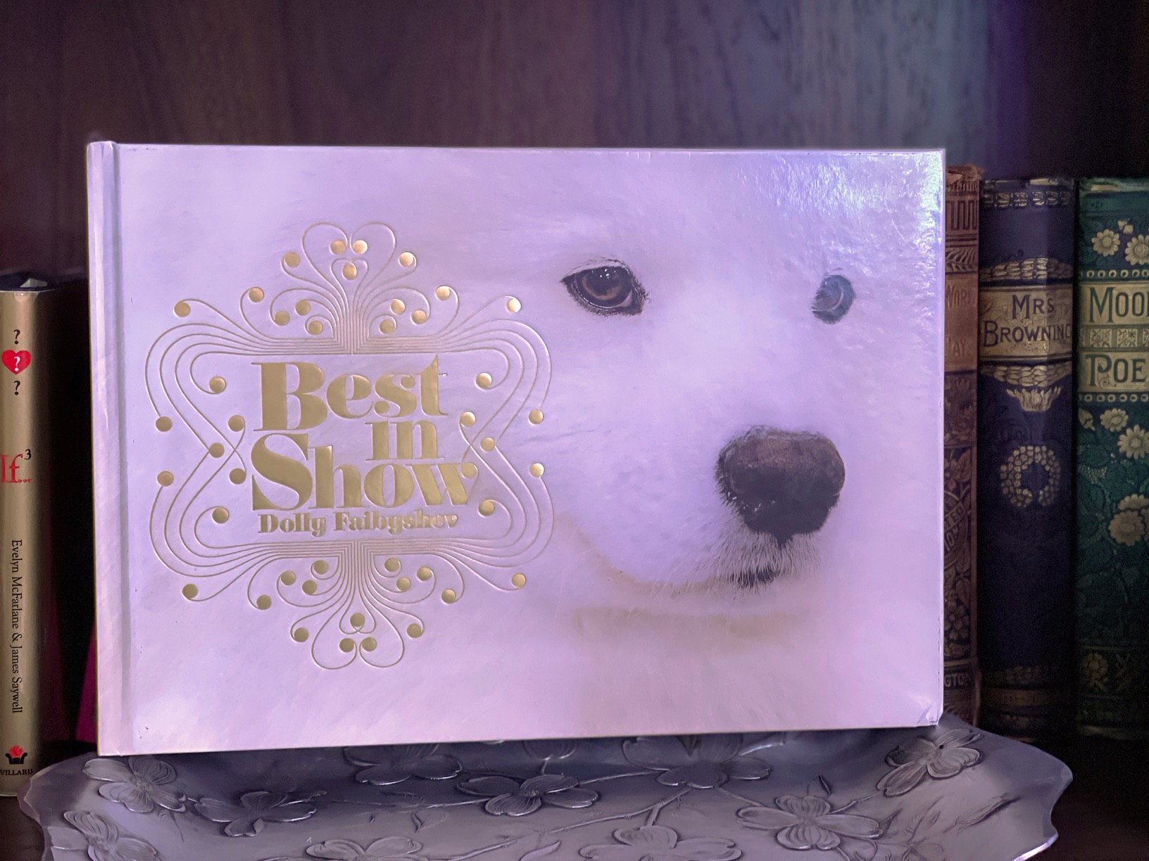 Amazon.com: Best in Show: (Dog Photography Book for Dog Lovers, Dog ...