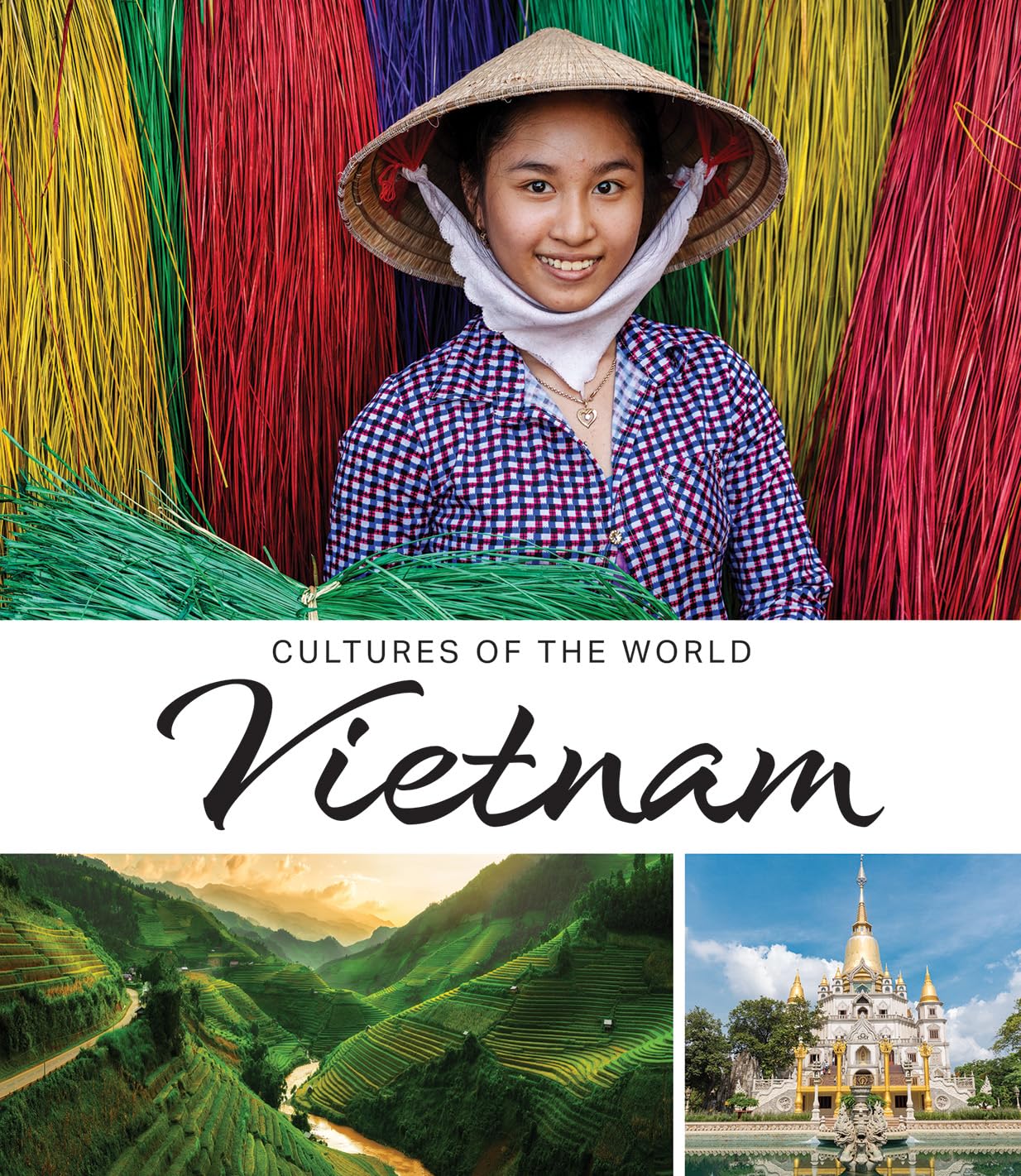 Amazon.com: Vietnam (Cultures of the World, Cultures of the World ...
