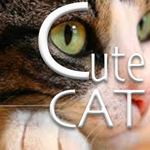 Cute Cat - App on Amazon Appstore