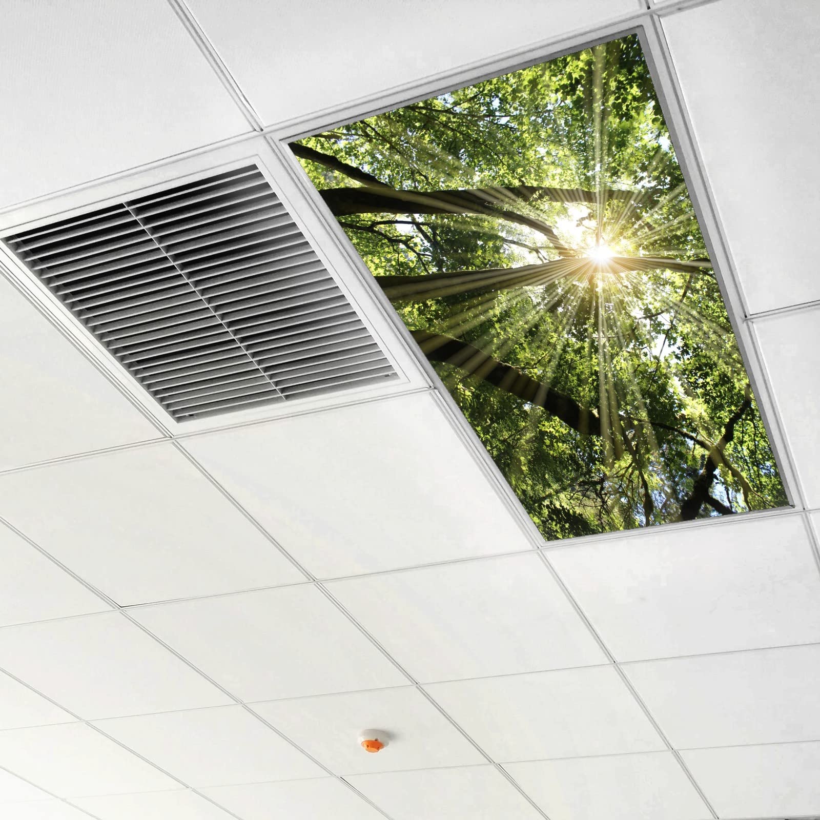 Decorative Fluorescent Fixture Lenses
