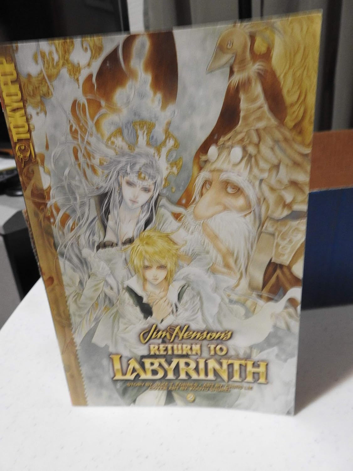 Amazon.com: Return to Labyrinth Volume 2: 9781598167269: Jake T. Forbes ...