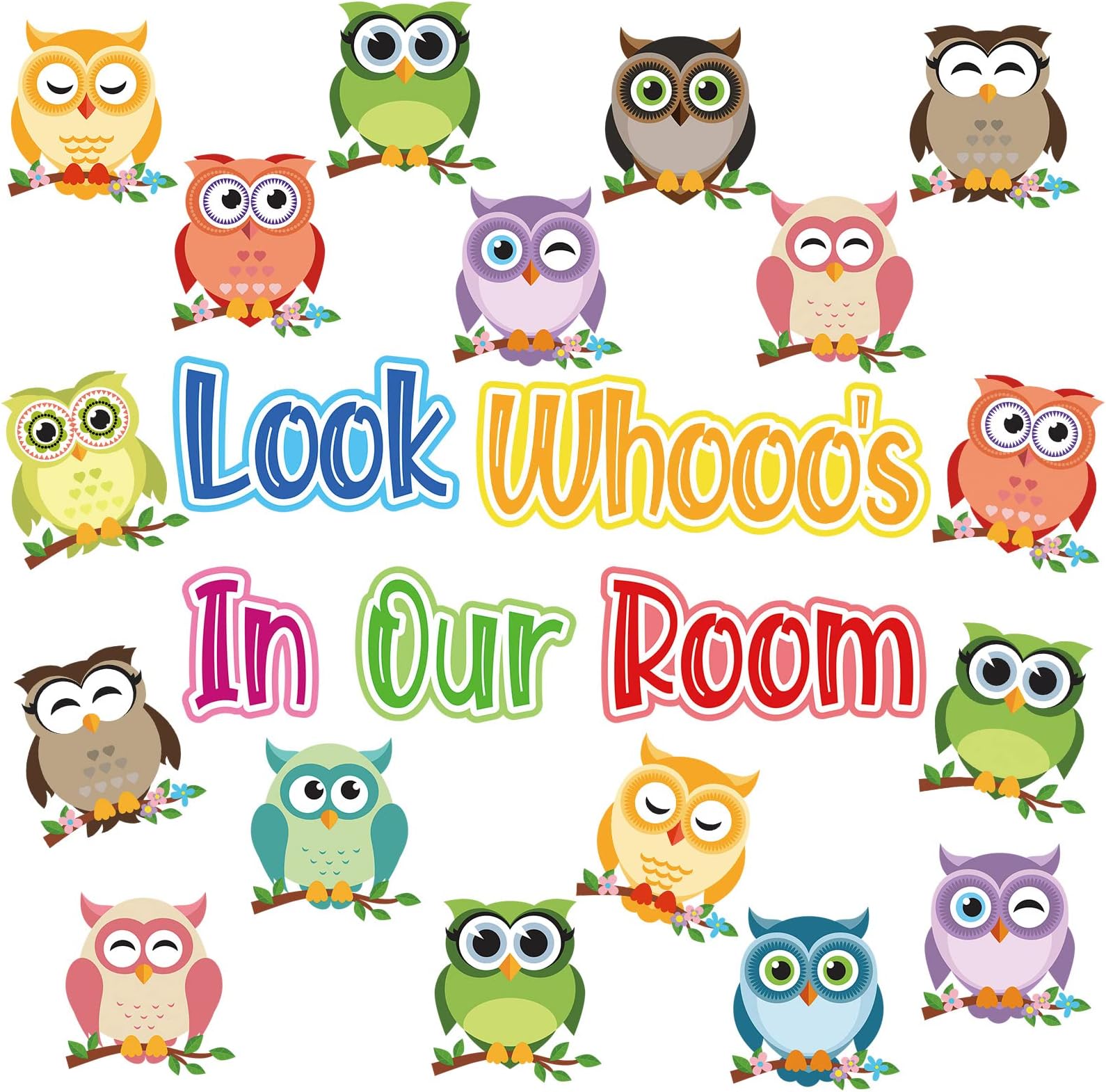 Amazon.com : TaoBary 70 Pcs Owl Bulletin Board Decorations Set Owl ...