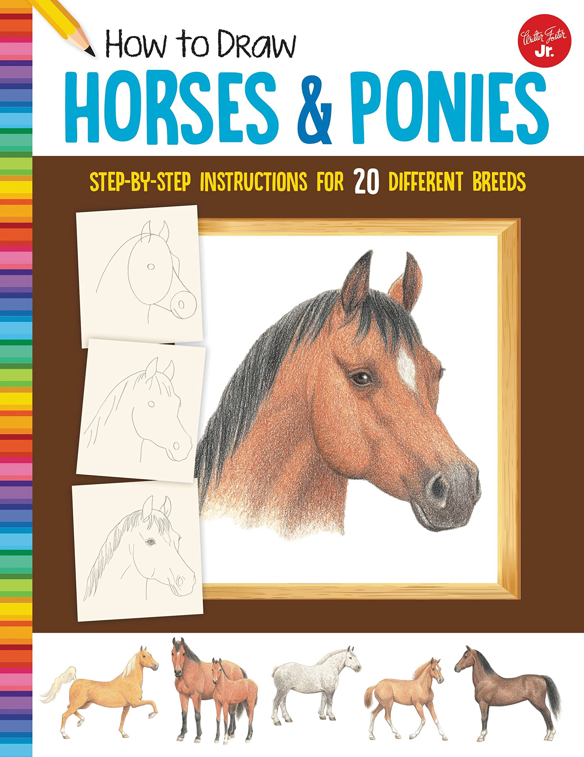 Steps To Draw Ponies