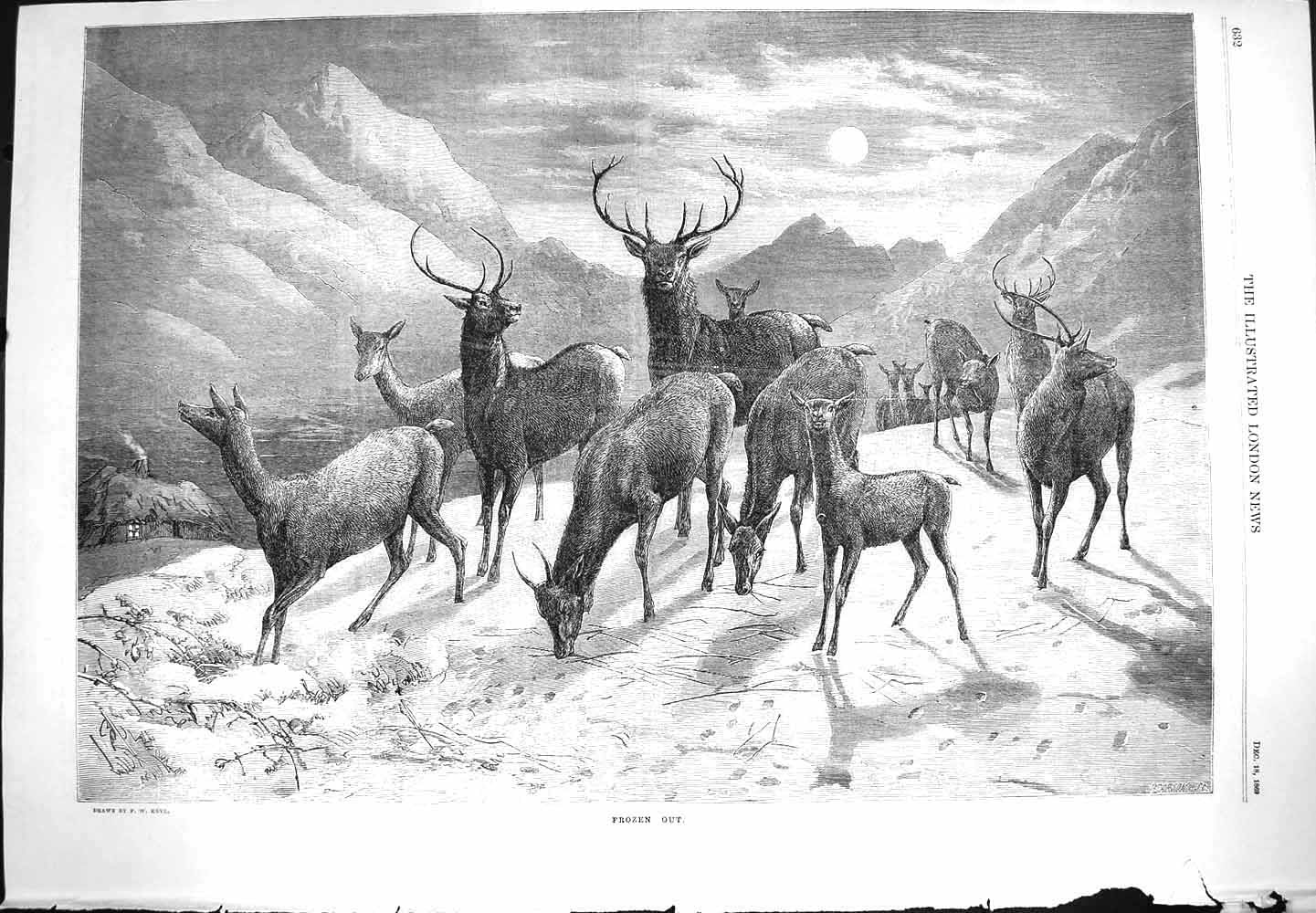 Amazon Print 1869 Frozen Out Highland Stags Mountains Scotlandnd amazon-print-1869-frozen-out-highland-stags-mountains-scotlandnd