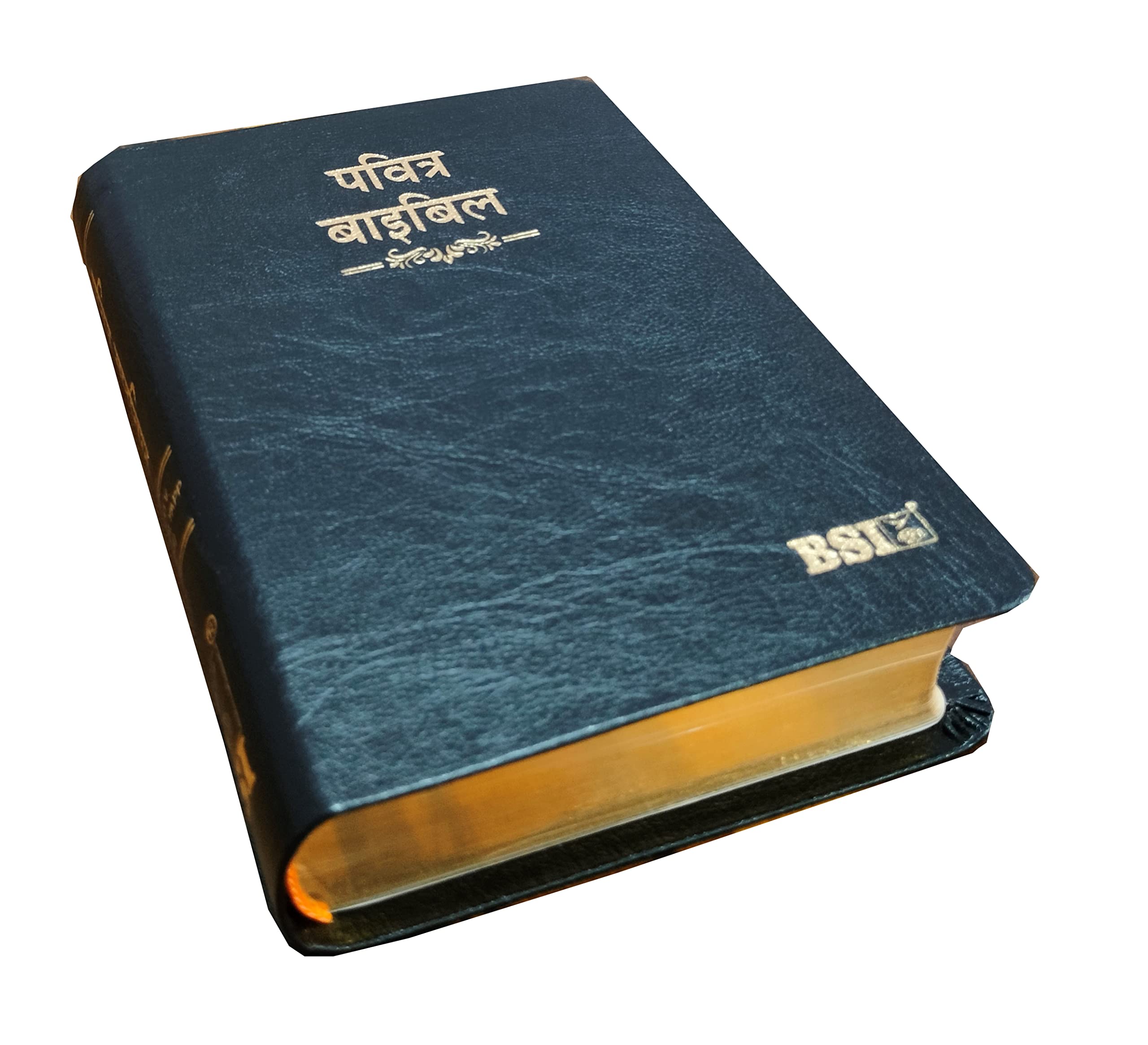 Hindi O.V. 25TI(R) Compact Bible Yapp (KBS) Black Korean Print ...