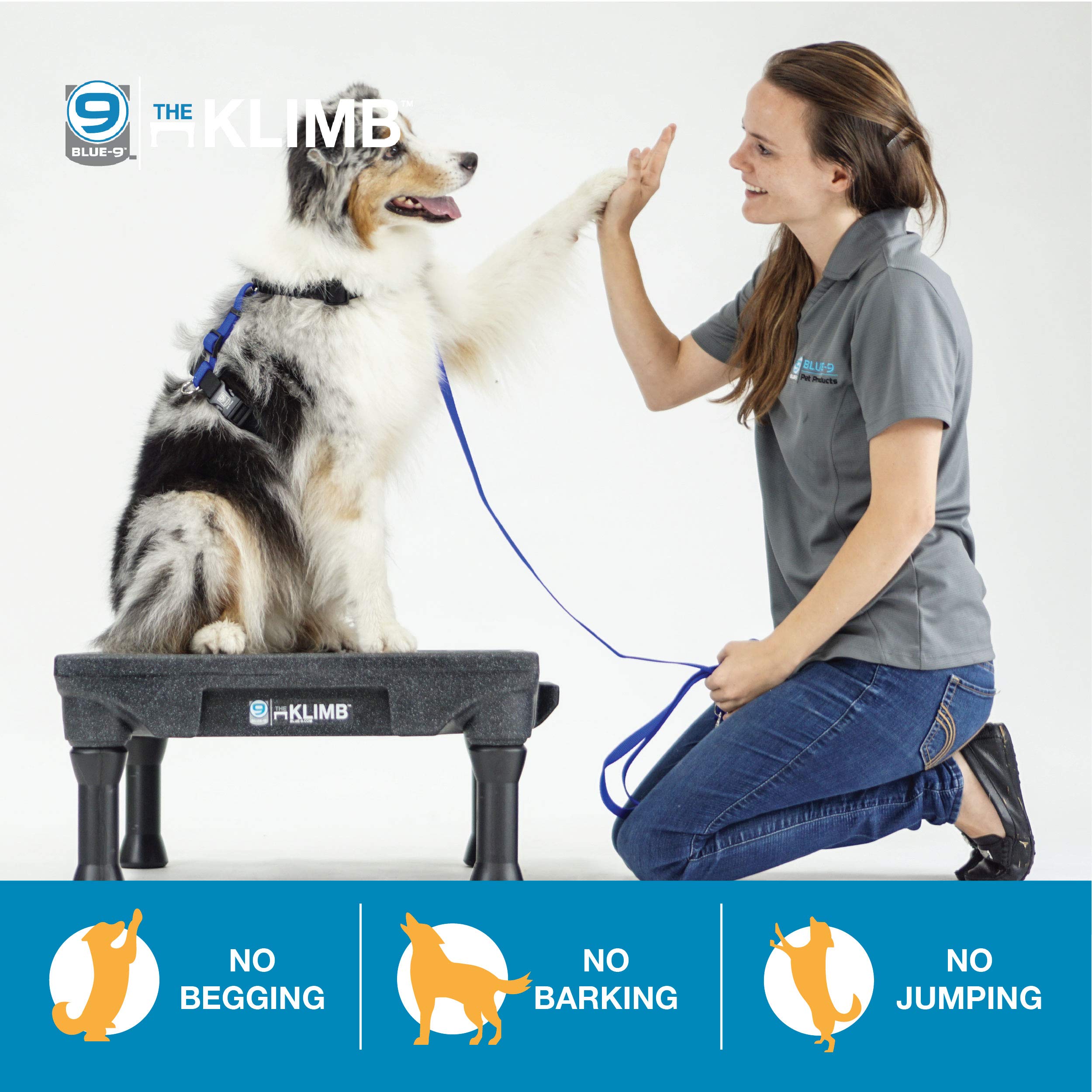 Snapklik.com : KLIMB Training Kit, Professionally Designed Dog Platform And Accessories For ...