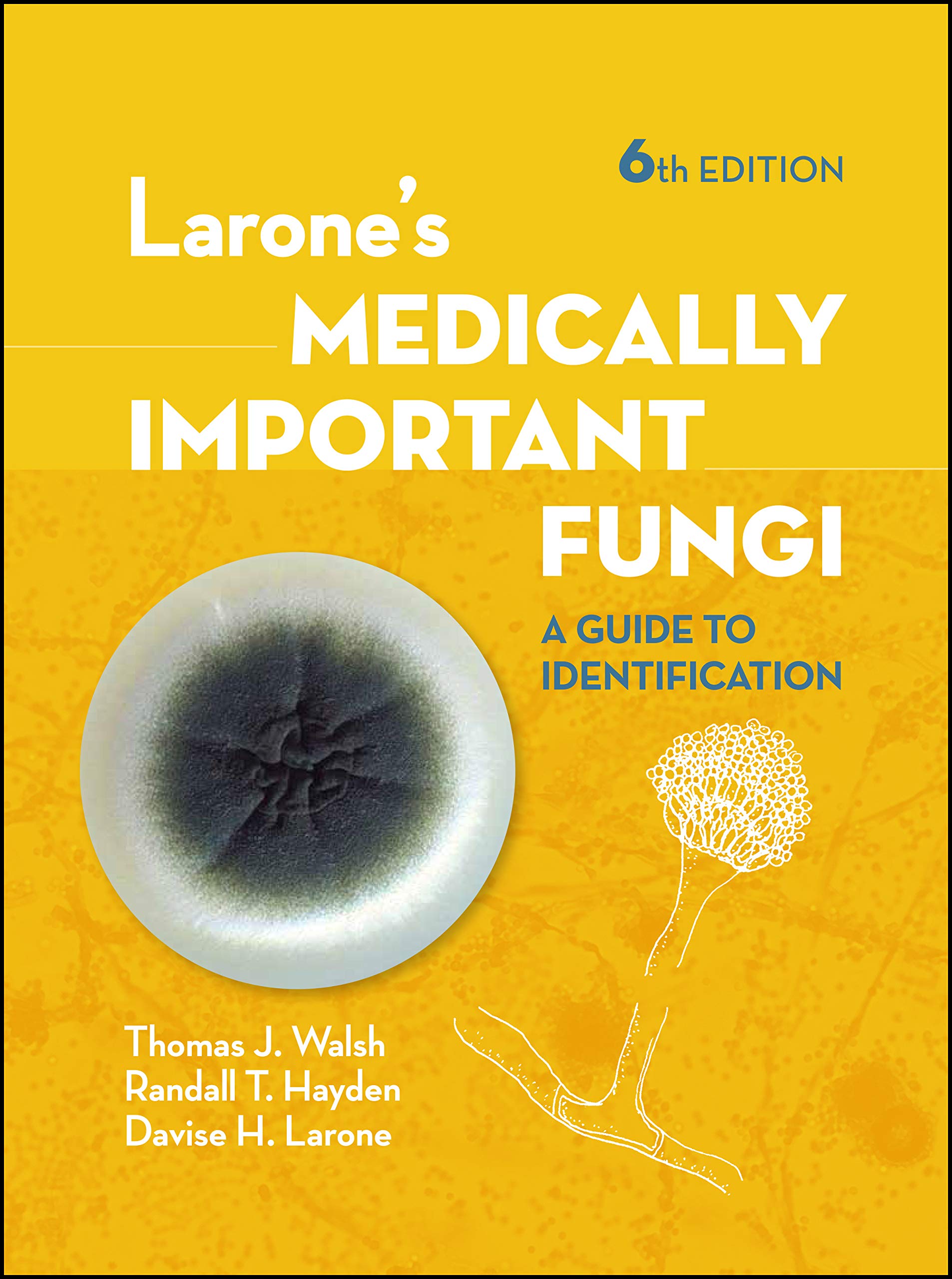 Larone's Medically Important Fungi: A Guide to Identification ...