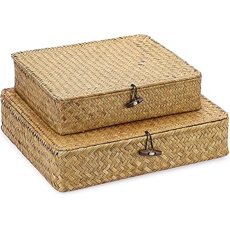Amazon.com: BTSKY Set of 2 Wicker Basket With Lids Flat Woven Storage ...