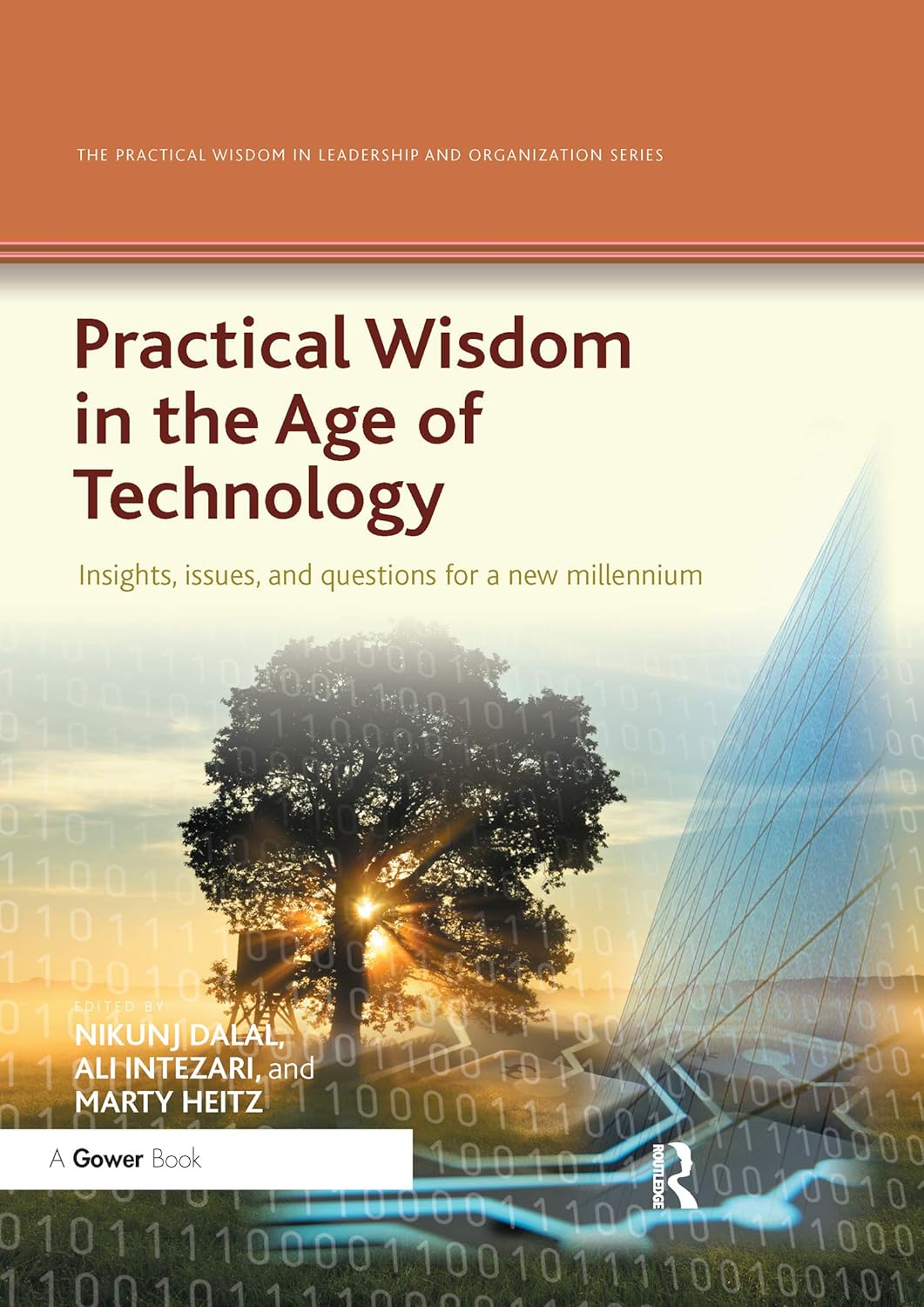Practical Wisdom in the Age of Technology (The Practical Wisdom in ...