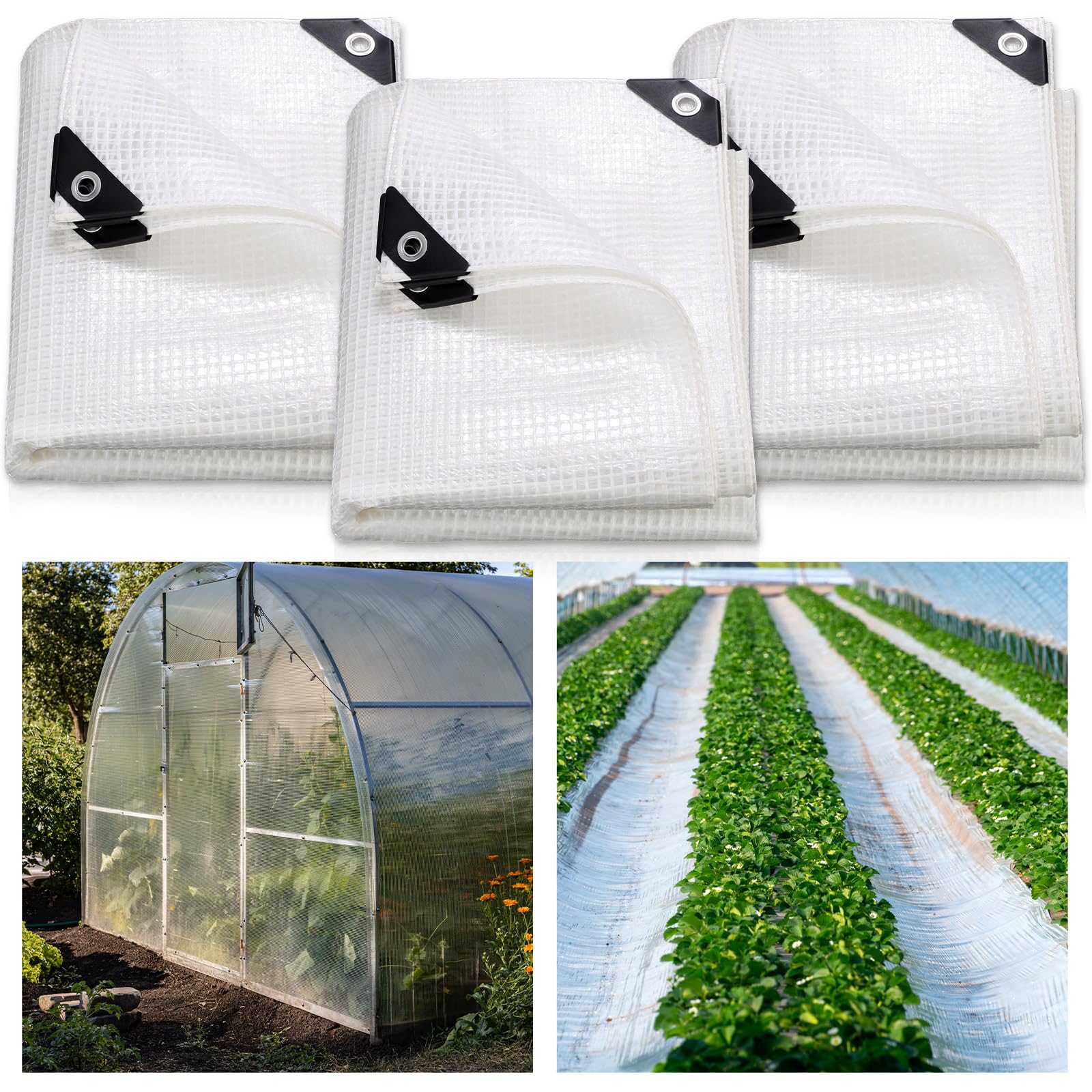 Amazon.com: Berlune 3 Pack Clear Greenhouse Heavy Duty Tarp, 8 x 10 ft ...