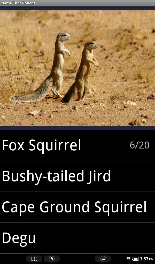 Rodent Species Trivia Quiz - App on Amazon Appstore