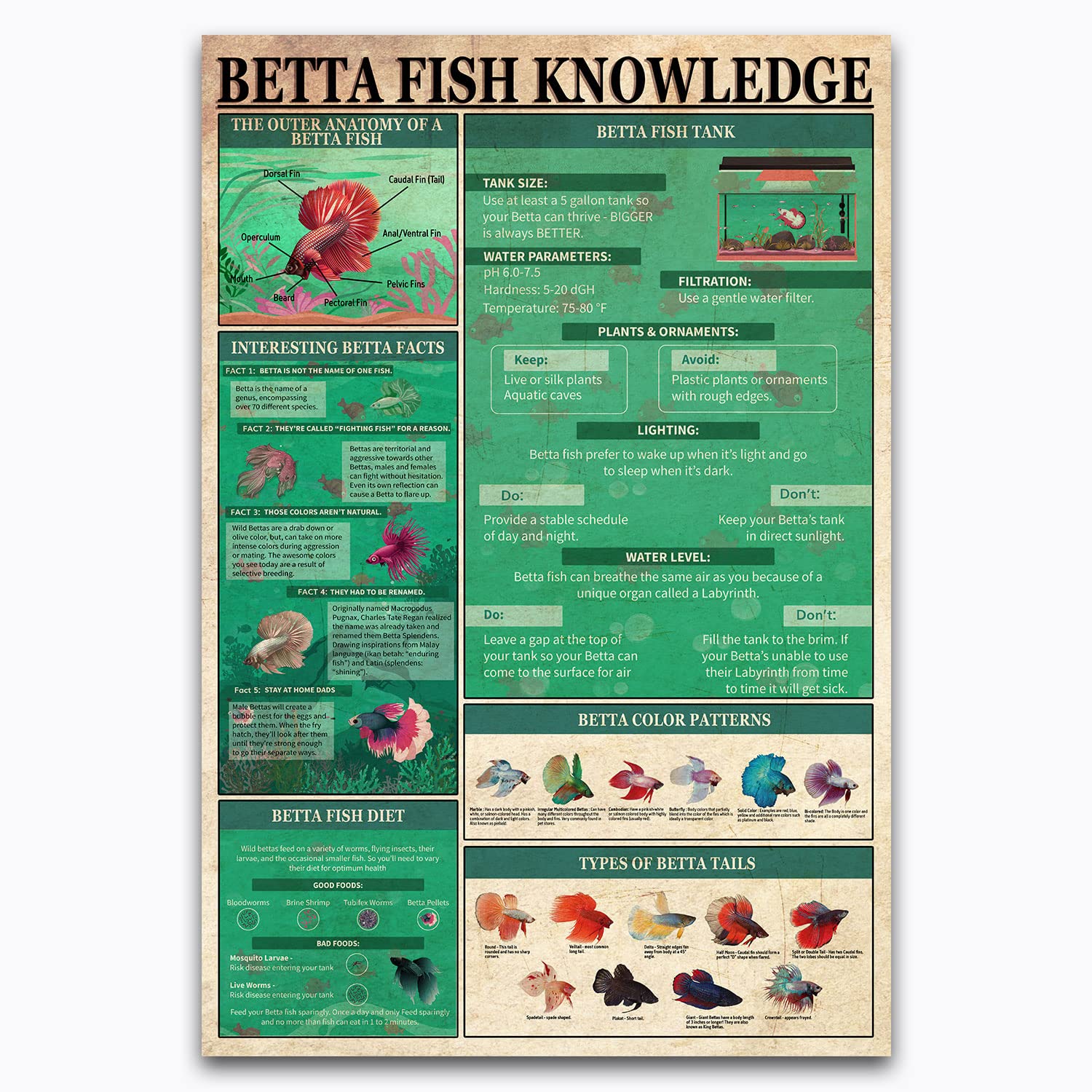 Amazon.com: Betta Fish Knowledge Metal Signs Vintage Home Wall Decor ...