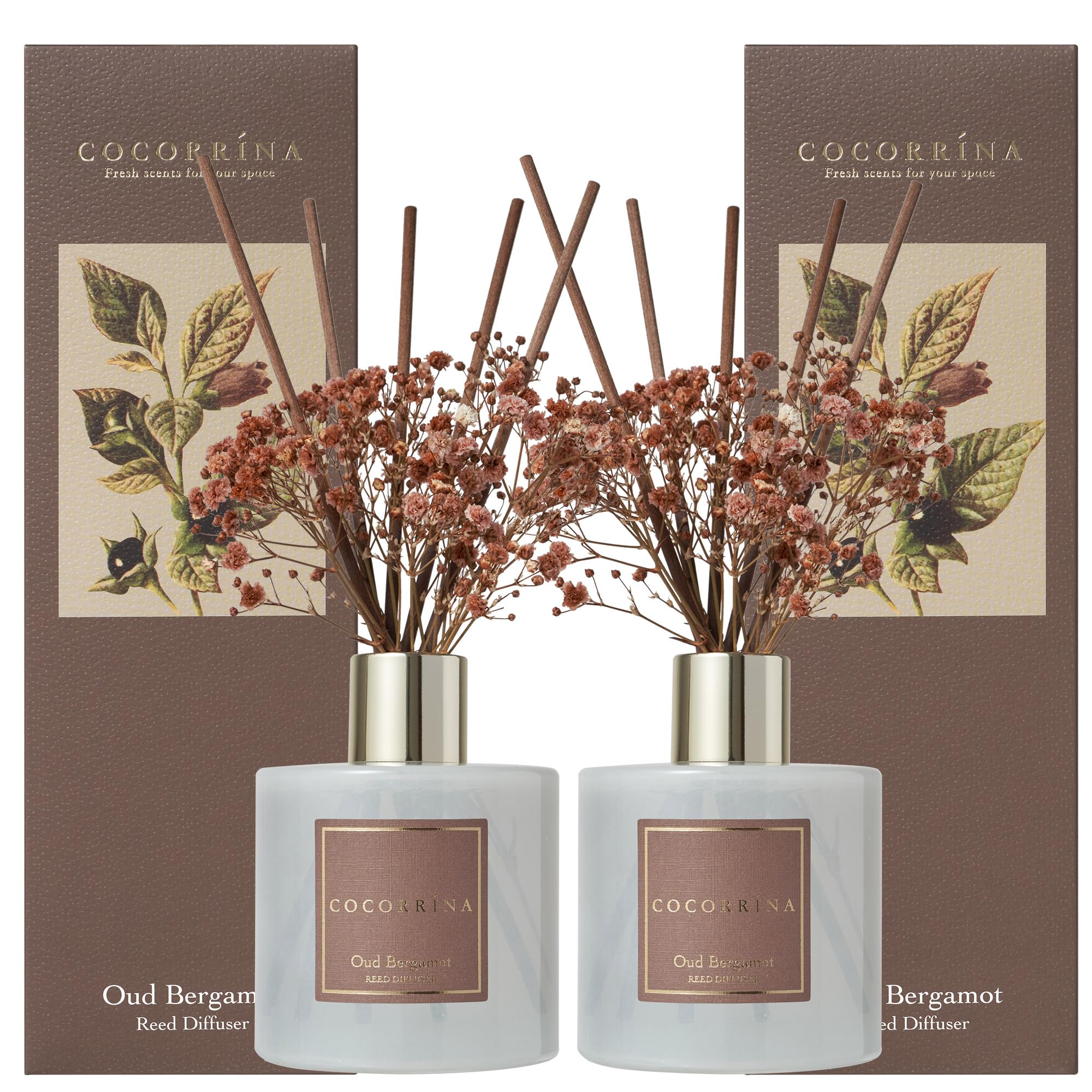 Cocorrína Reed Diffuser Set - Oud Bergamot Reed Diffuser 2 Pack 6.7oz ...