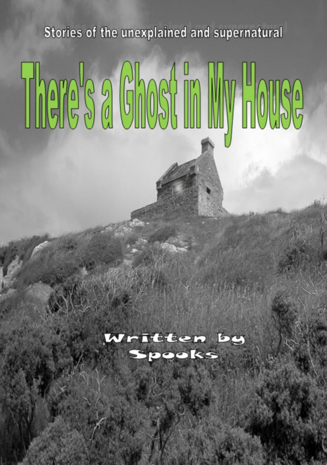 There's a Ghost in my House: Stories of the unexplained and ...
