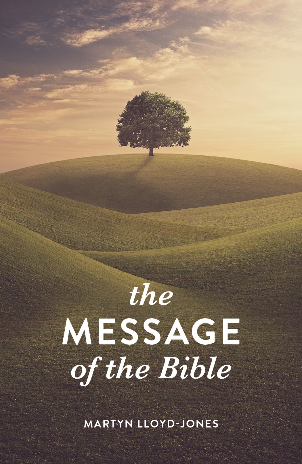The Message of the Bible (25-pack): Crossway: 9781682163801: Amazon.com ...
