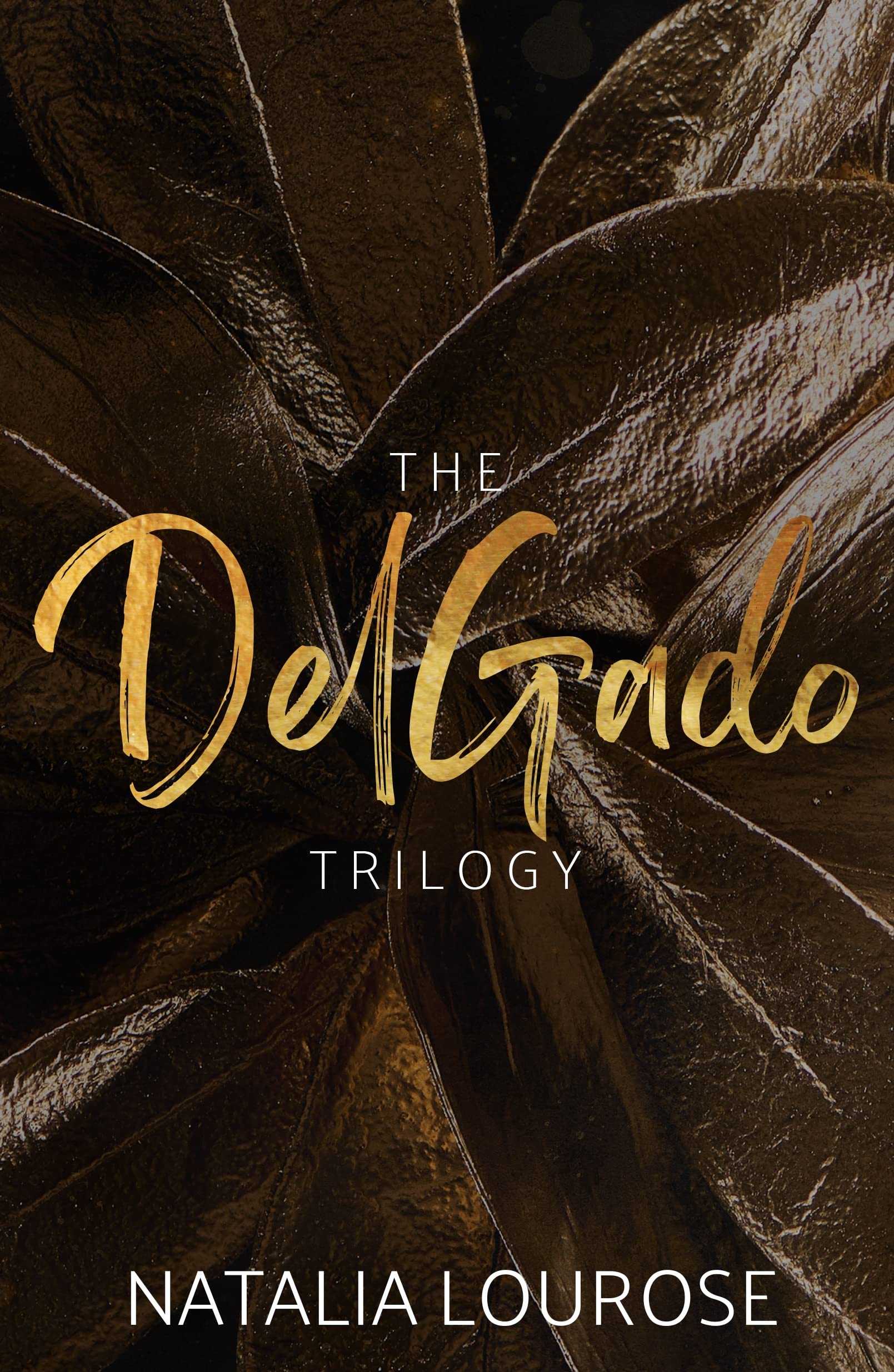 Buy The DelGado Trilogy (The DelGado Family) Online at desertcartINDIA