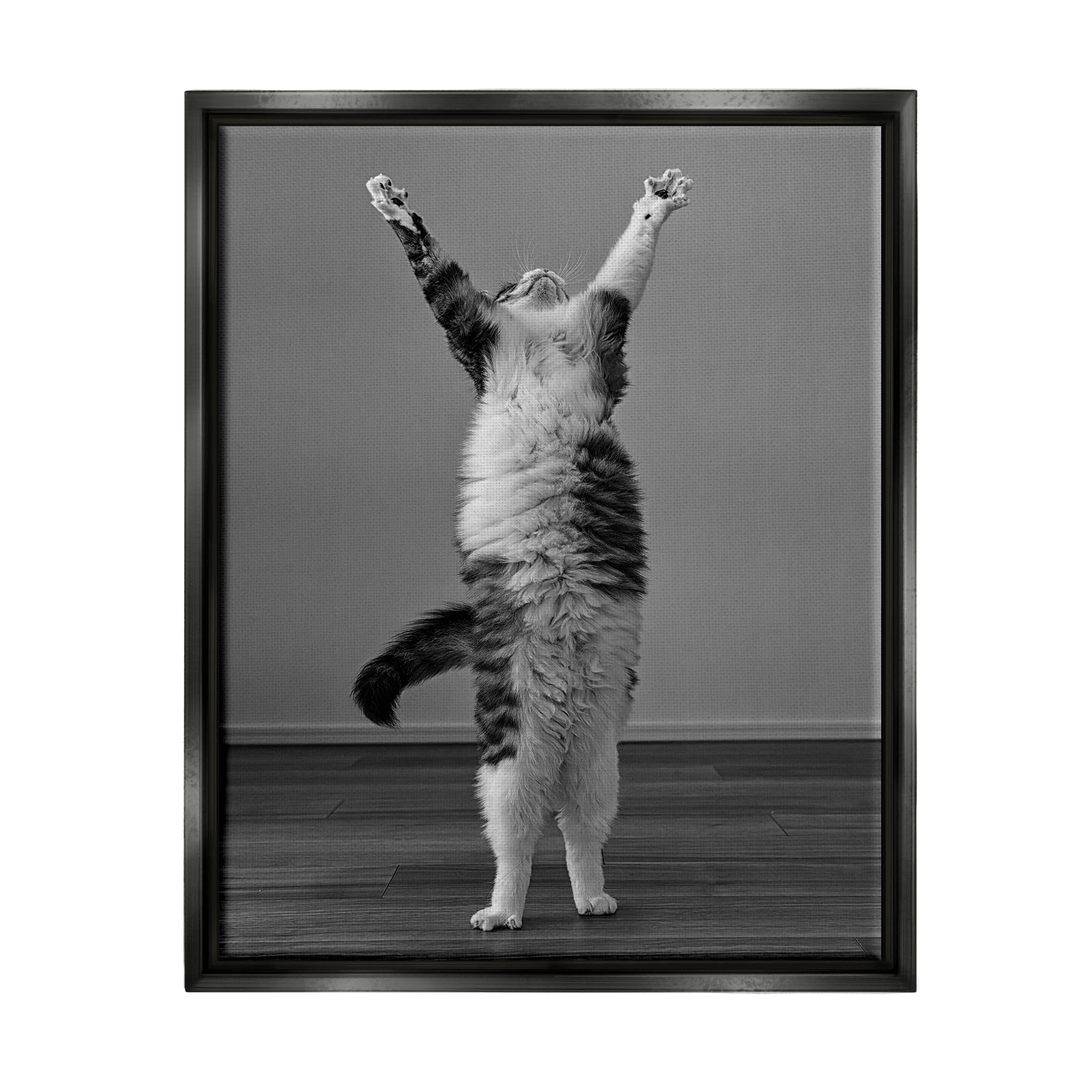 Cat Victory Meme Page 2 | Cat Celebrating Victory Images Free