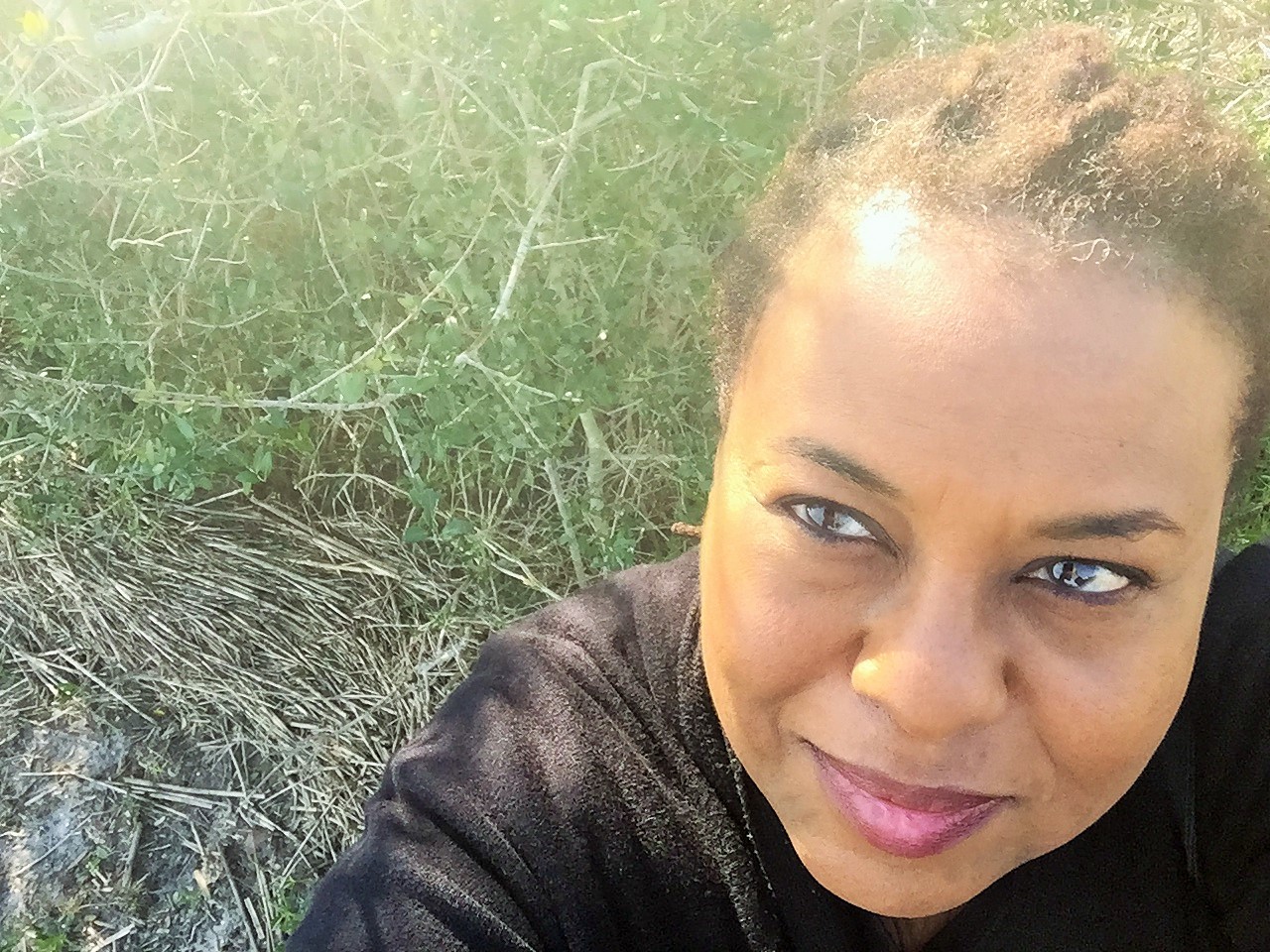 Amazon.com: Michele Nicole Johnson: books, biography, latest update