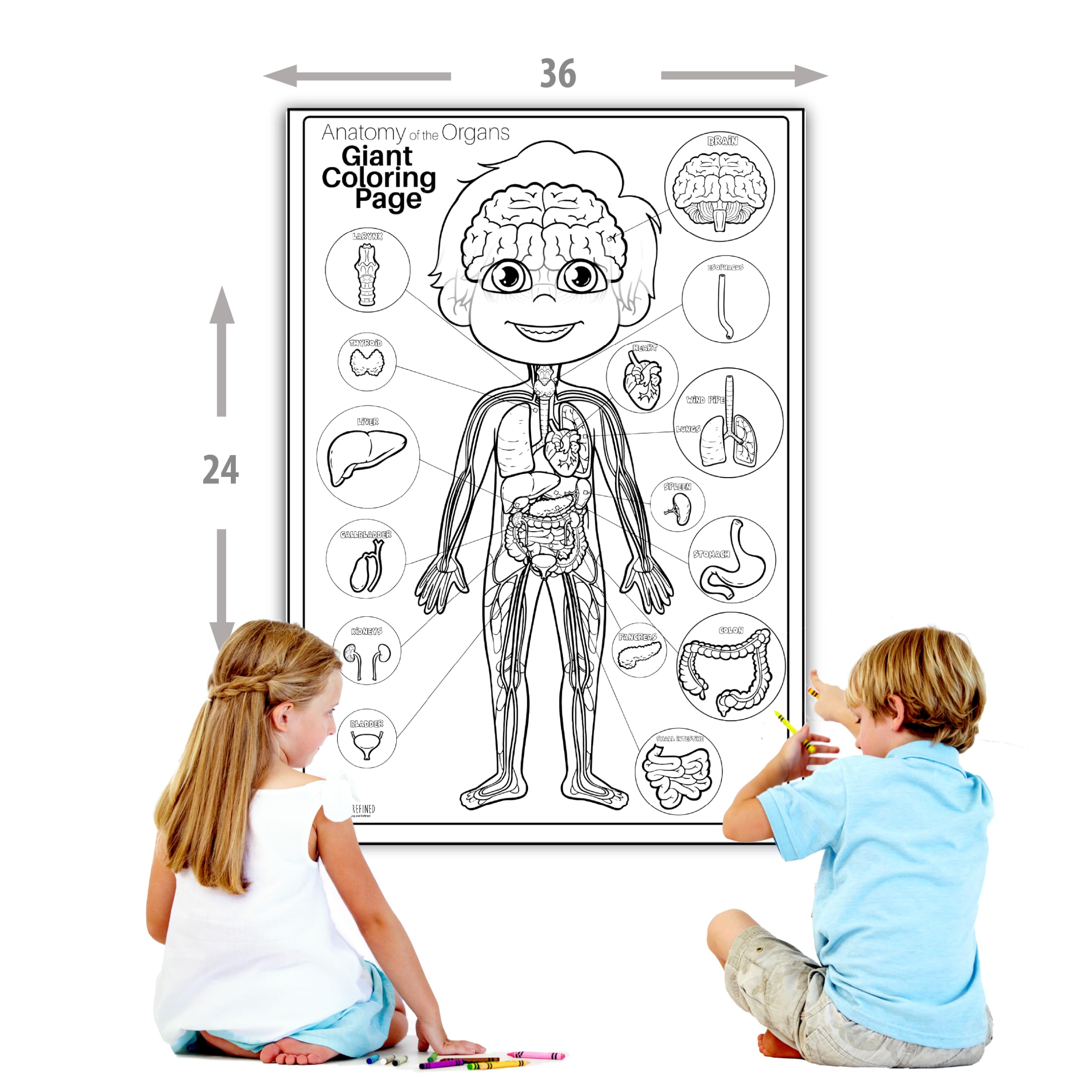 Body Parts Coloring Pages For Preschoolers [2025]