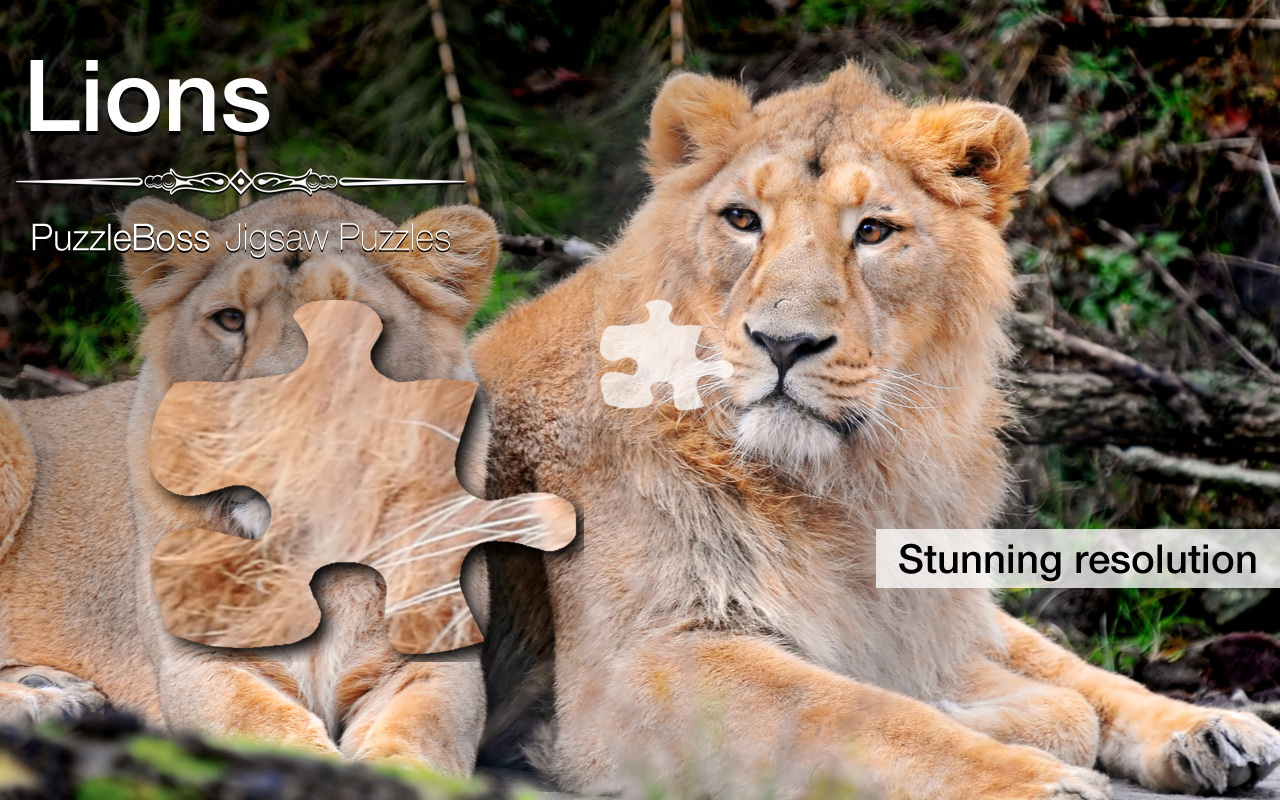 Lion Jigsaw Puzzles - App on Amazon Appstore