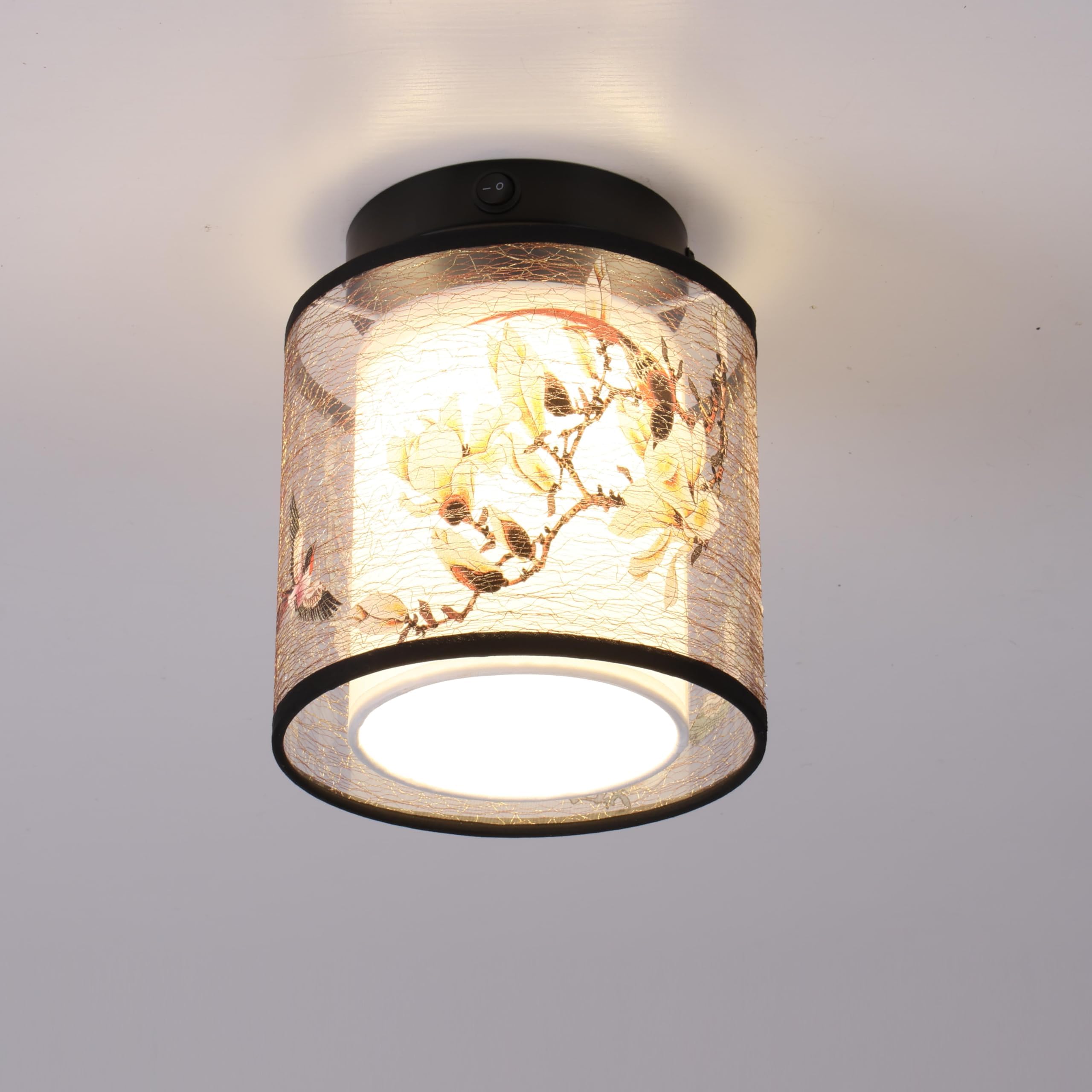 Amazon.com: Maichis Decorative 12V RV LED Pendent Dining-Room Lamp with ...