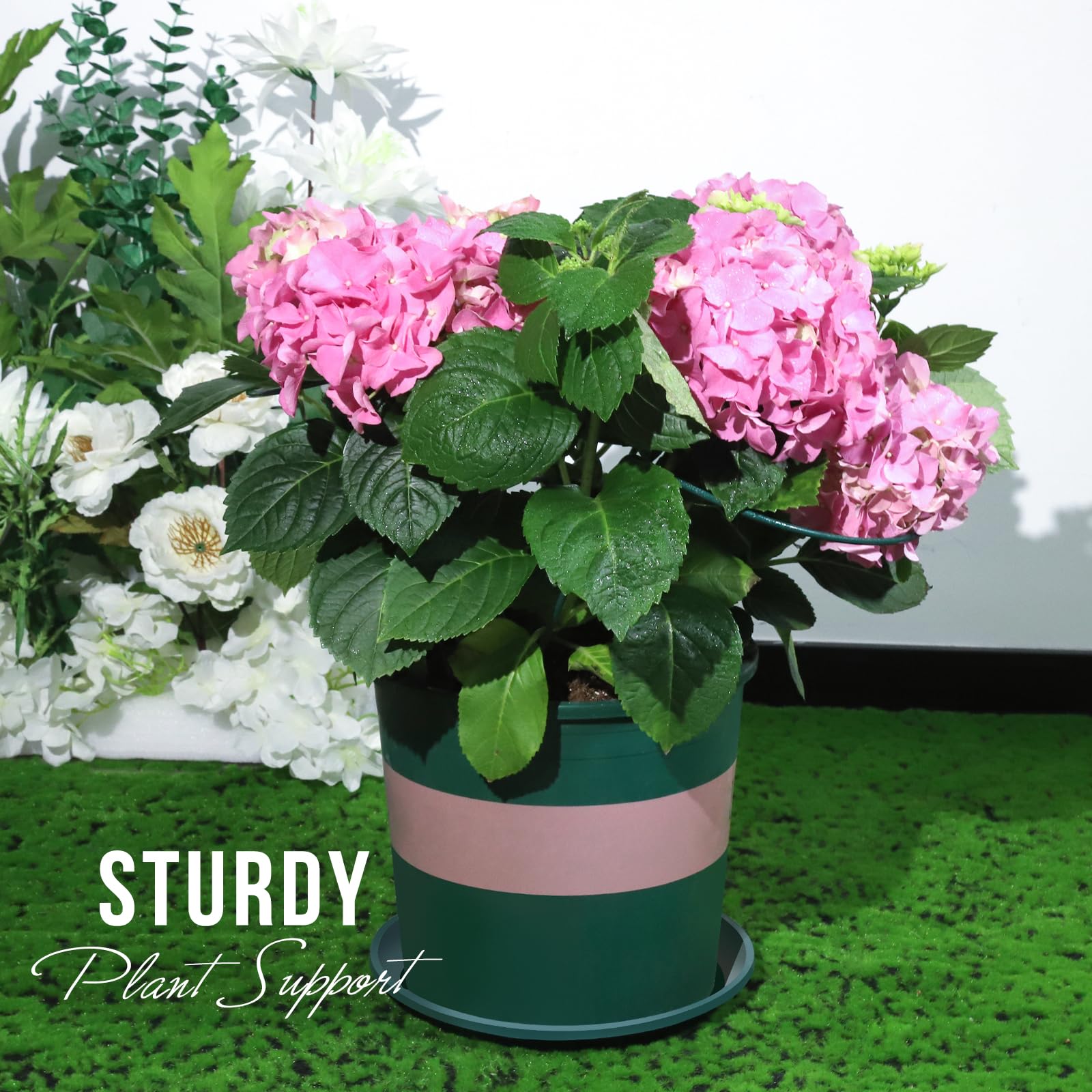 Snapklik.com : 12PCS Plant Supports, Plant Support Stakes, Plant Stakes ...
