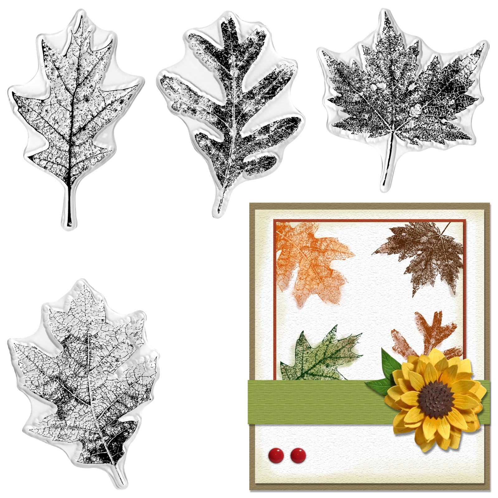 Amazon.com: ABTOLS 4pcs Leaves Clear Stamps for Card Making, Maple ...