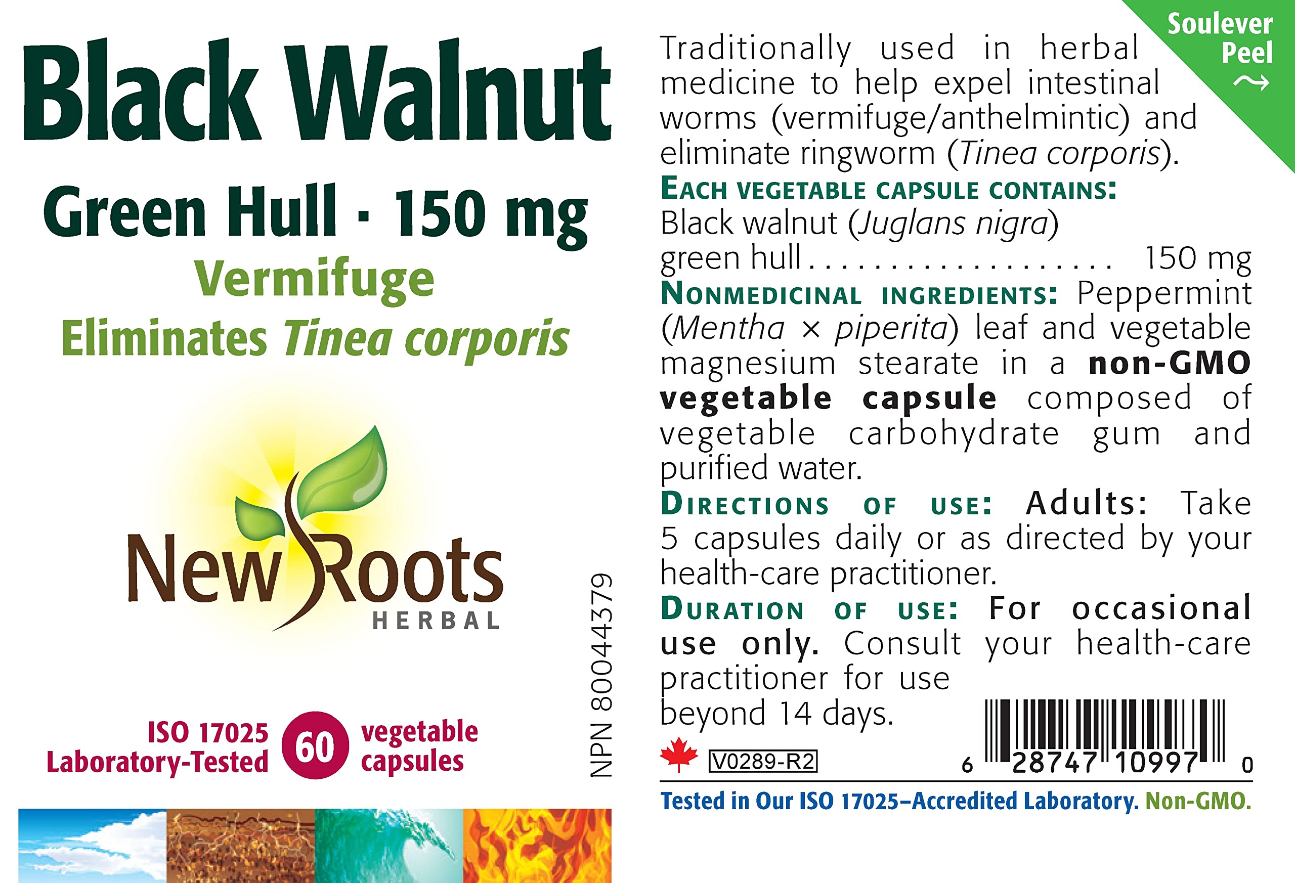 Black Walnut Root System Past Presidents Association For Death