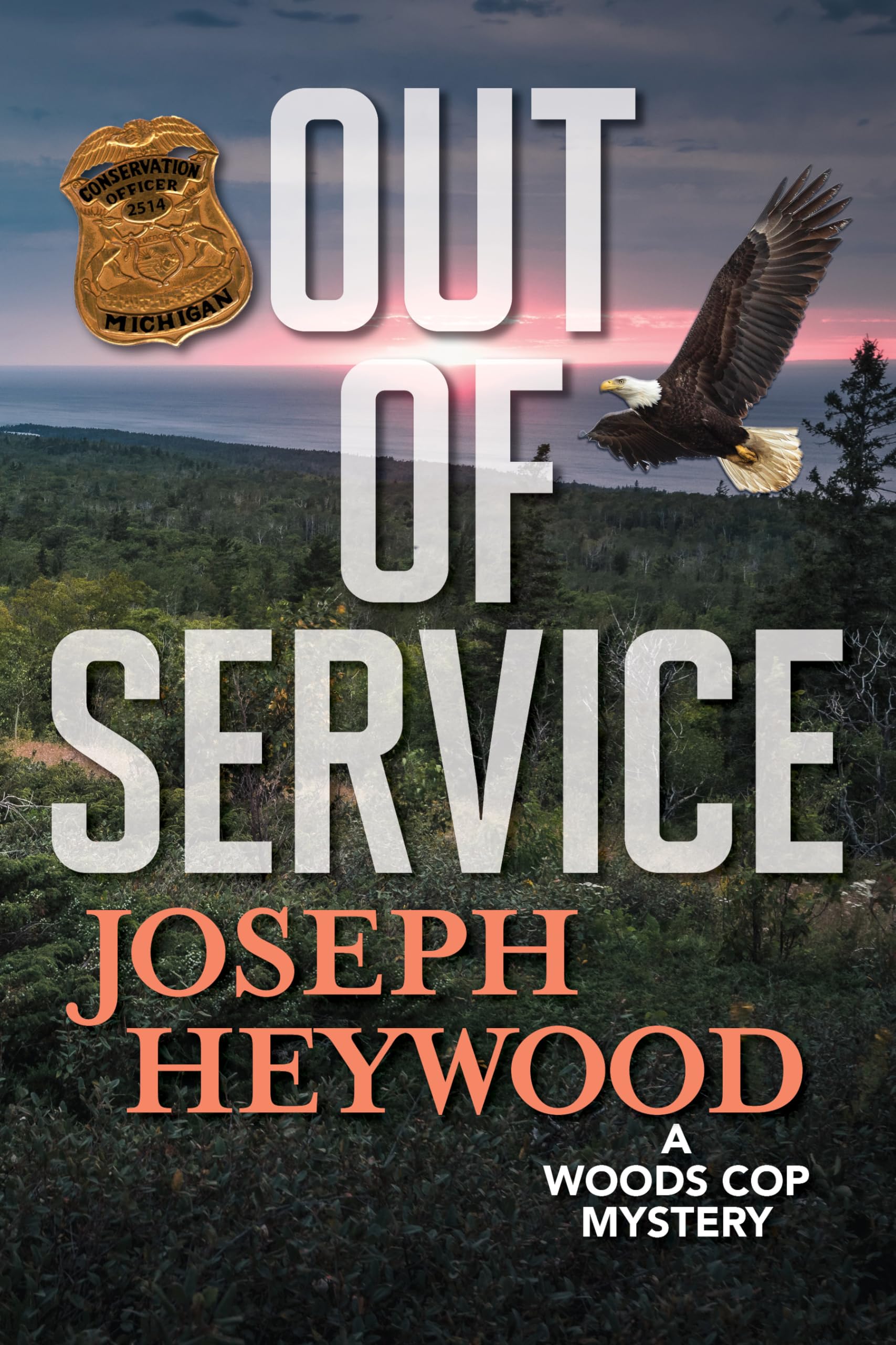 Amazon.com: Out of Service (Woods Cop): 9781493085675: Heywood, Joseph ...