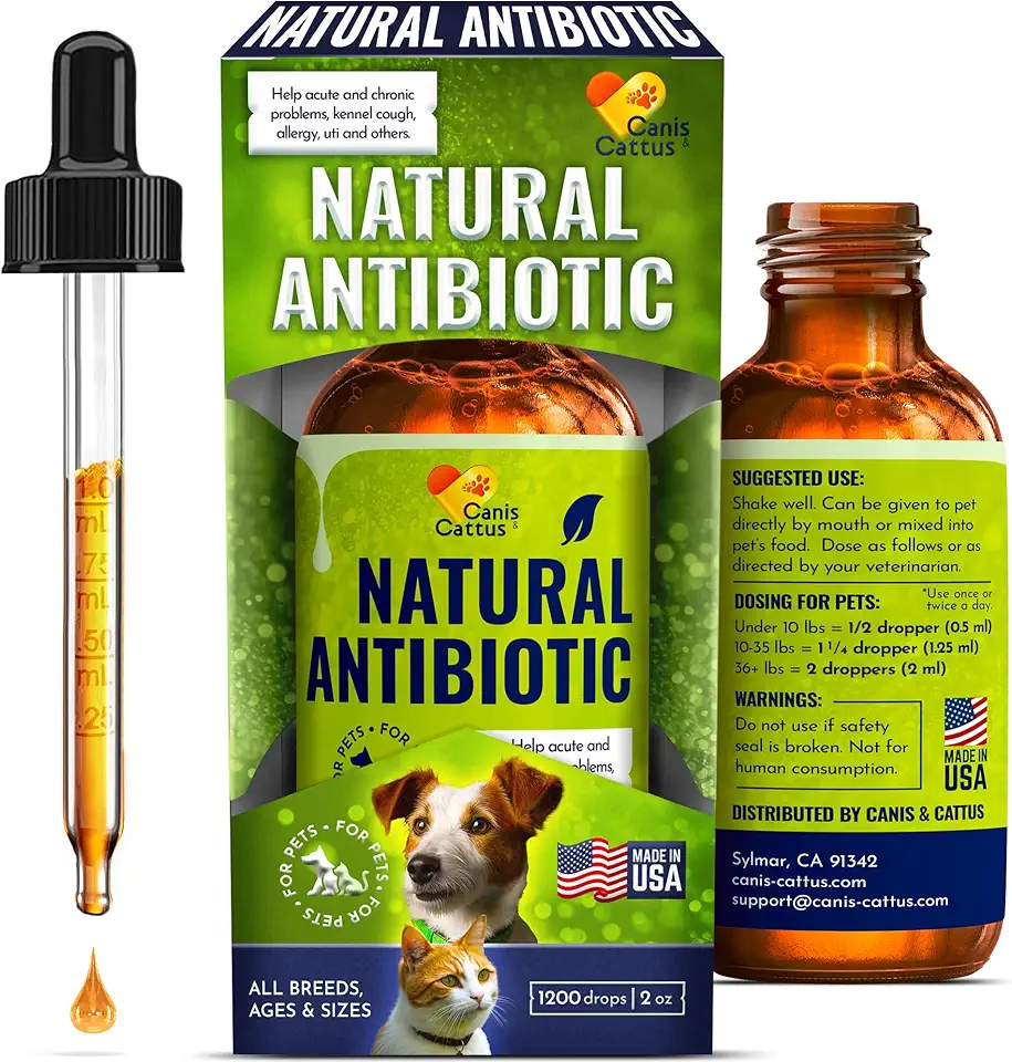 Antibiotics For Dogs: Lifelong Treatment Options And Their Viability ...