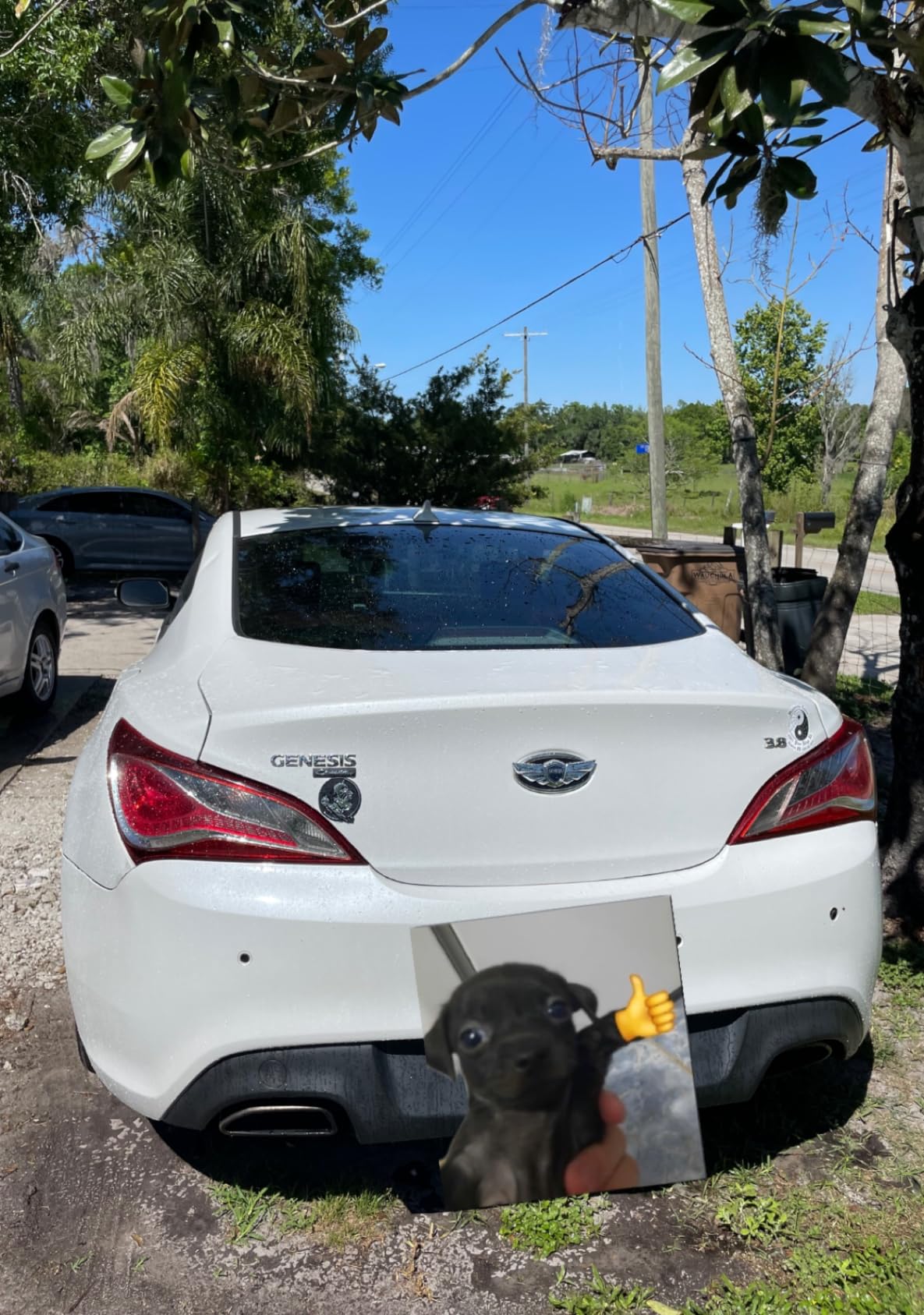 Amazon.com: Florida State FSU Seminoles Metal Auto Emblem (Chrome ...