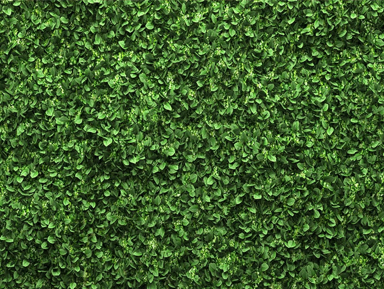 Buy Green Leaves Backdrop Greenery Leaf Wall Background Jungle Theme buy-green-leaves-backdrop-greenery-leaf-wall-background-jungle-theme