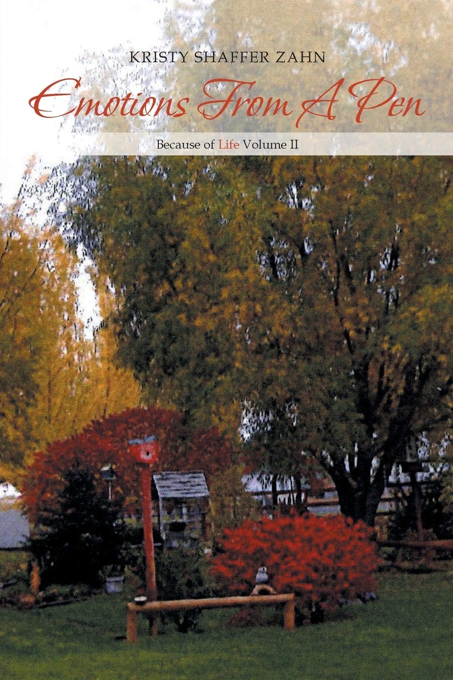 Amazon.com: Emotions from a Pen: Because of Life Volume II ...